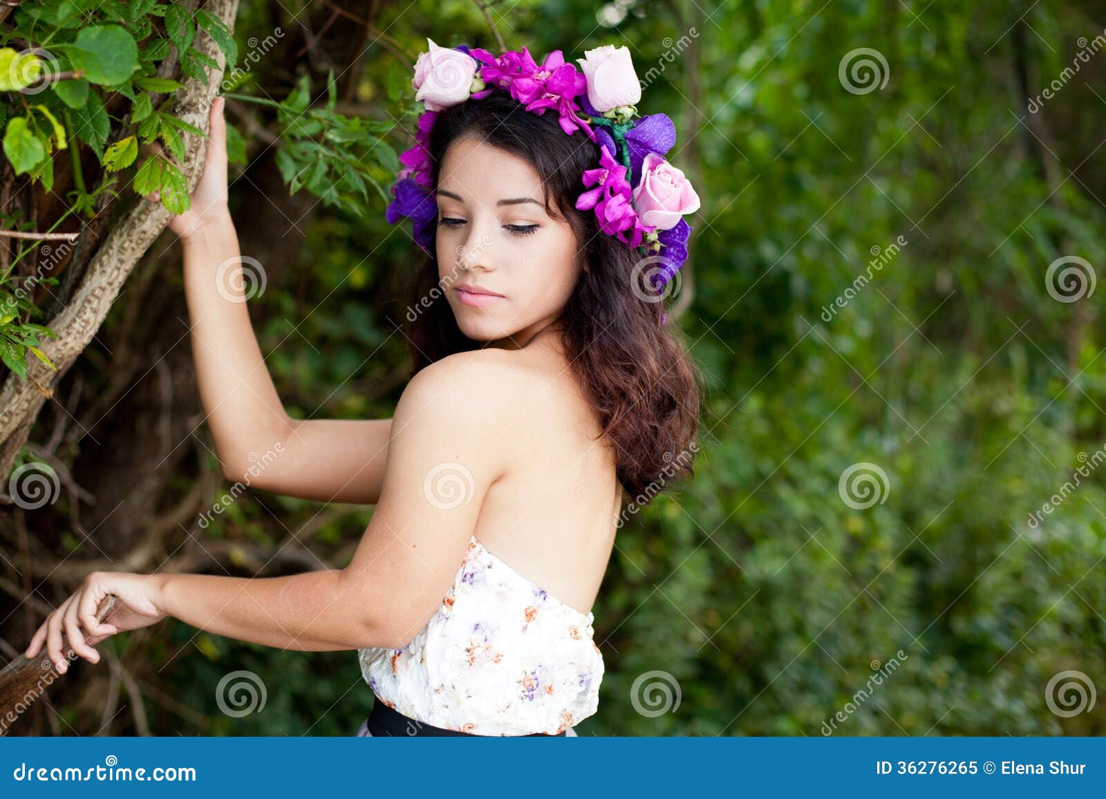Forest Nymph stock image. Image of green, brown, forest - 36276265