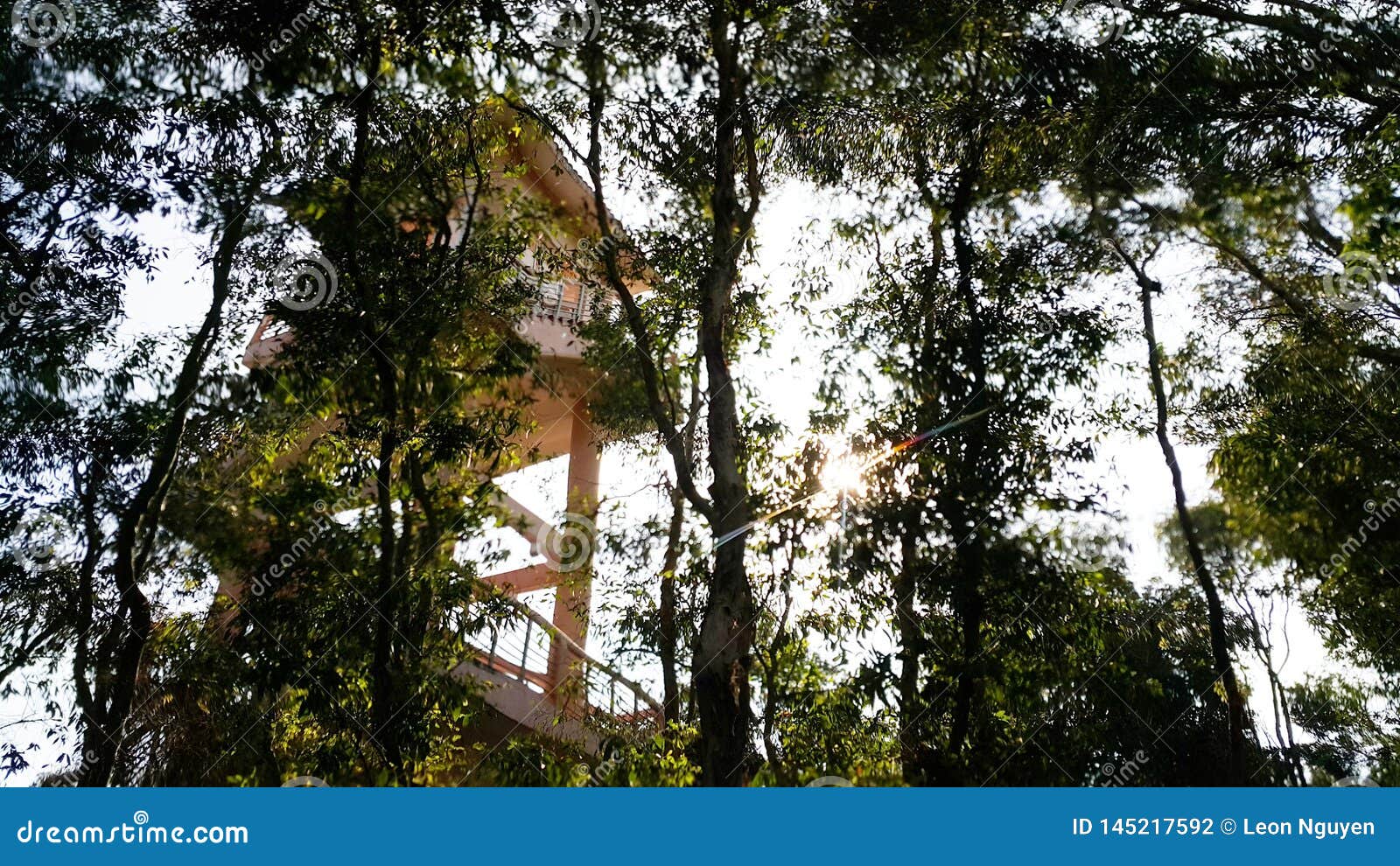 Forest Observation Tower in the Afternoon Stock Photo - Image of trip ...