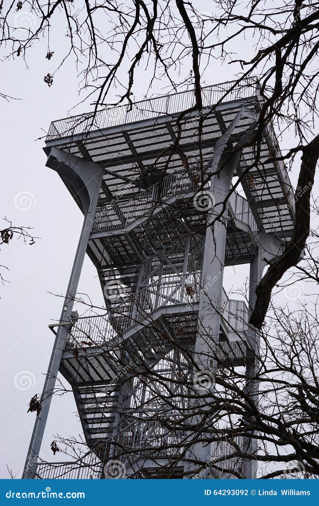 Forest observation tower stock photo. Image of stair - 64293092