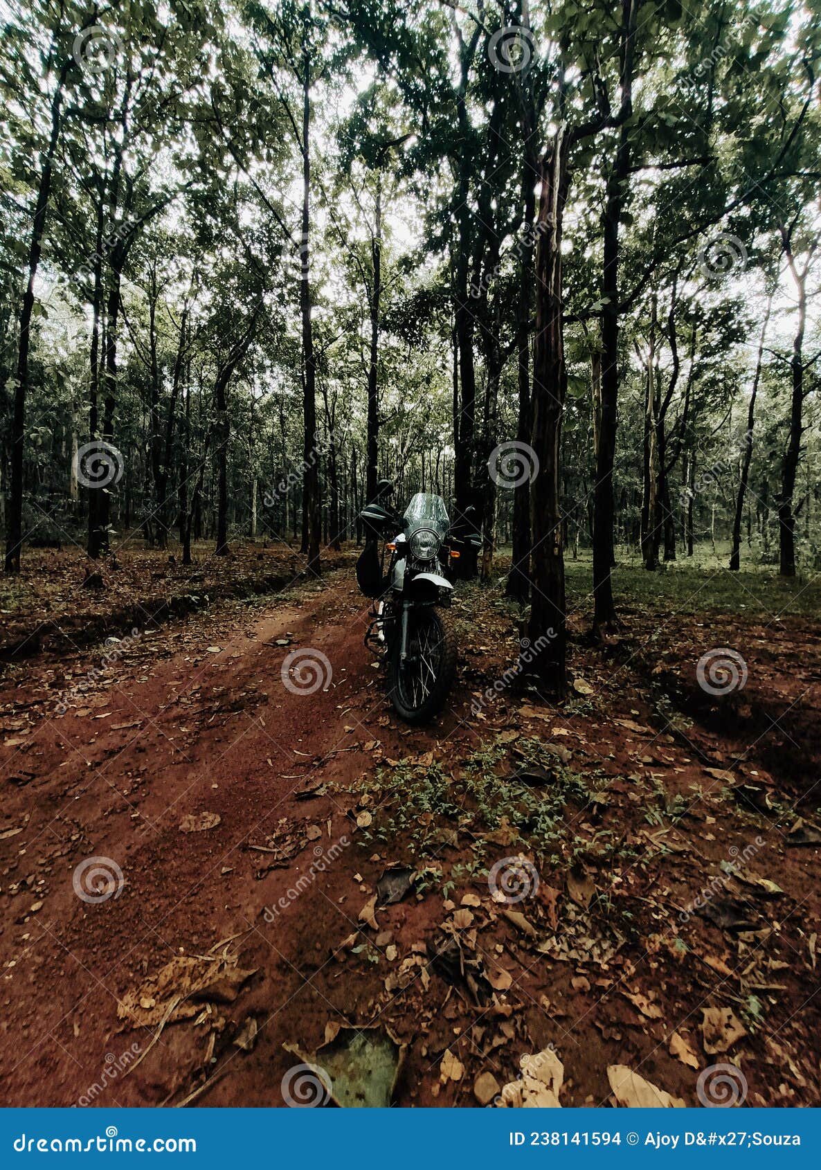Forest, Off-road, Nature, Motorcycle, Wilderness Editorial Stock Image ...