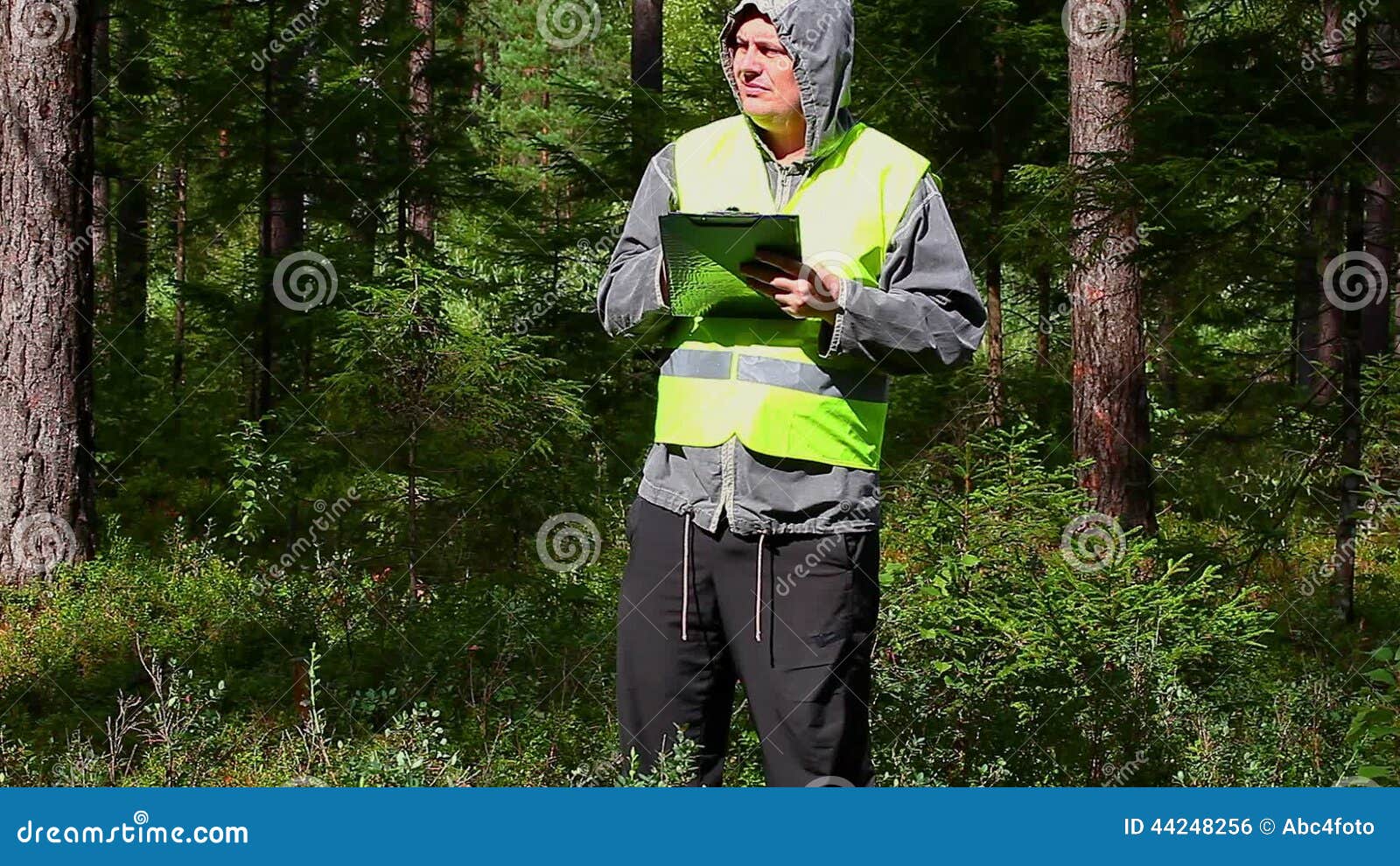 Forest Officer with folder stock footage. Video of tree - 44248256