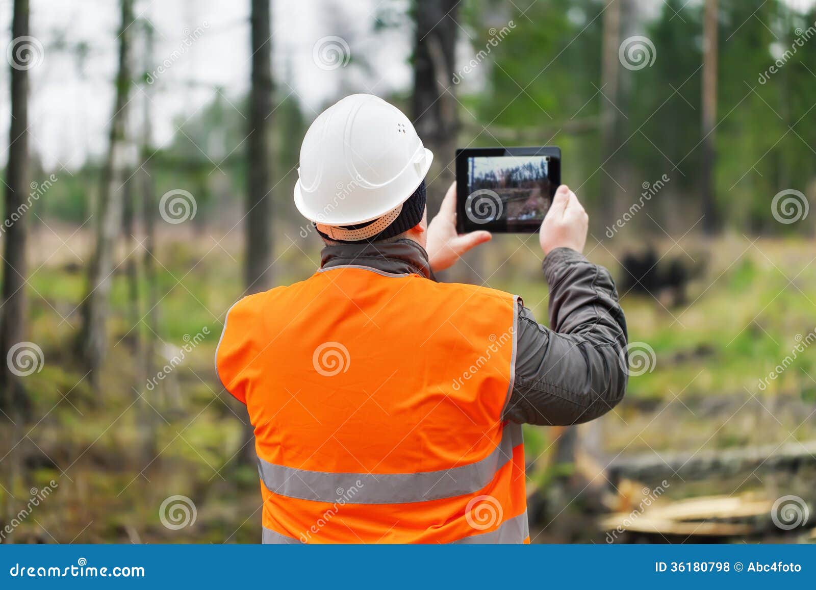 Forest Officer with Tablet PC Stock Photo - Image of cost, lumberjack ...
