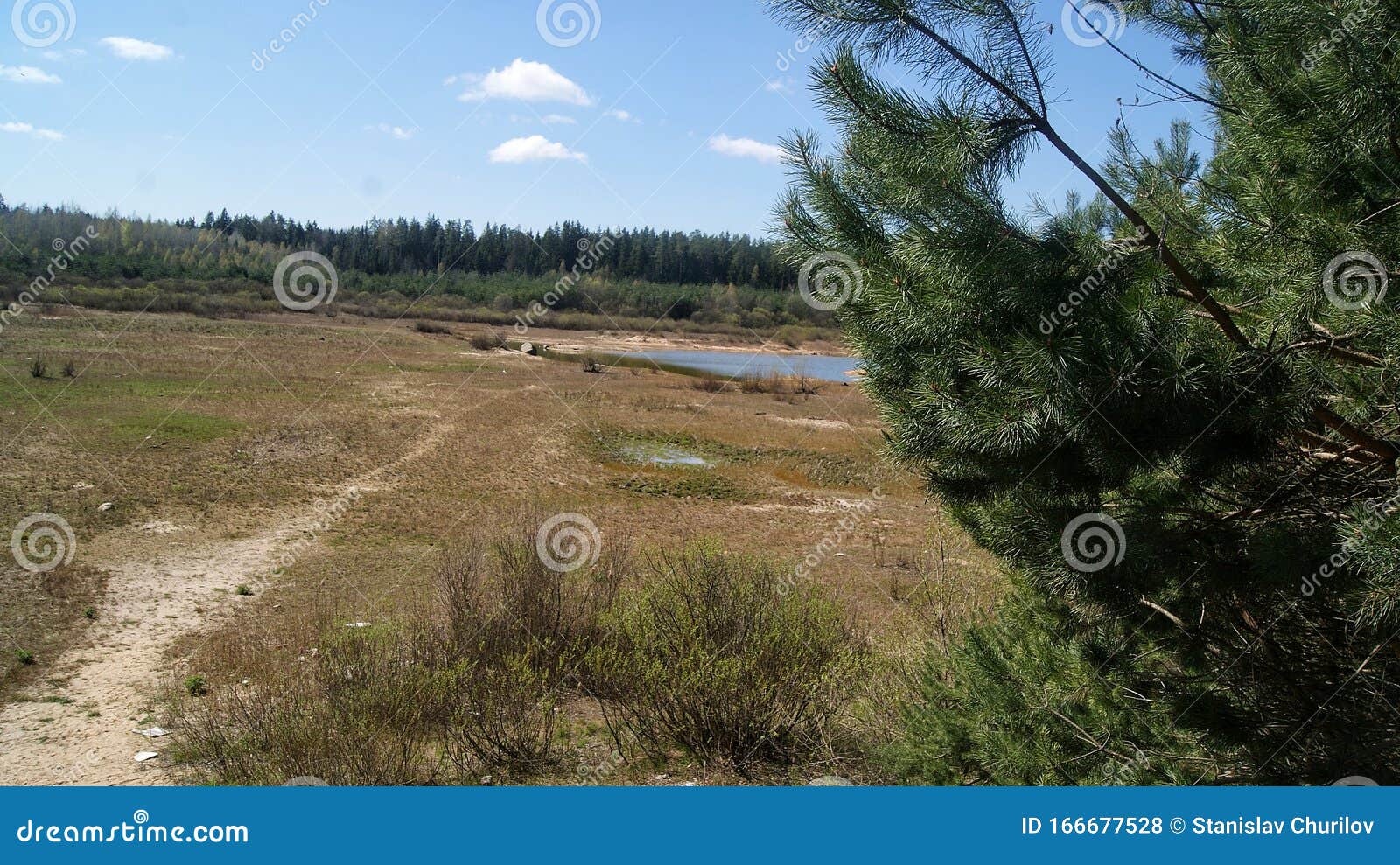 Forest Open Space Landscape Sky Stock Photo - Image of landscape, space ...