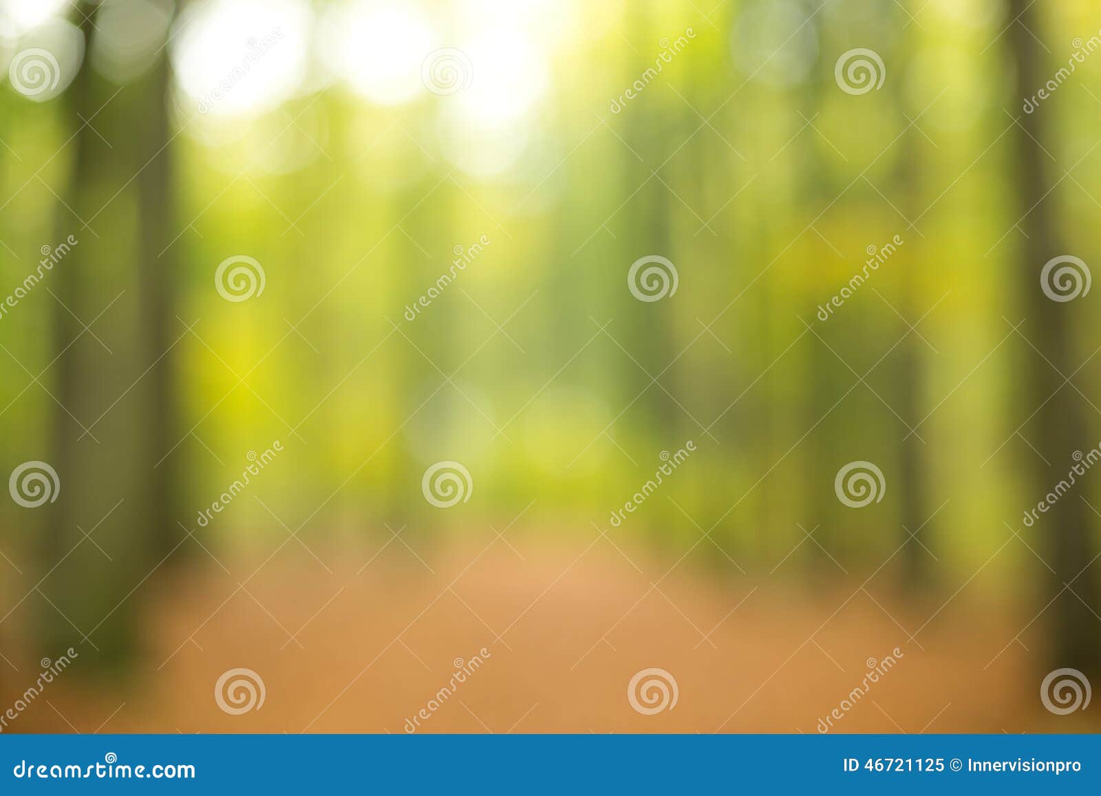 Forest out of focus stock image. Image of growing, scene - 46721125