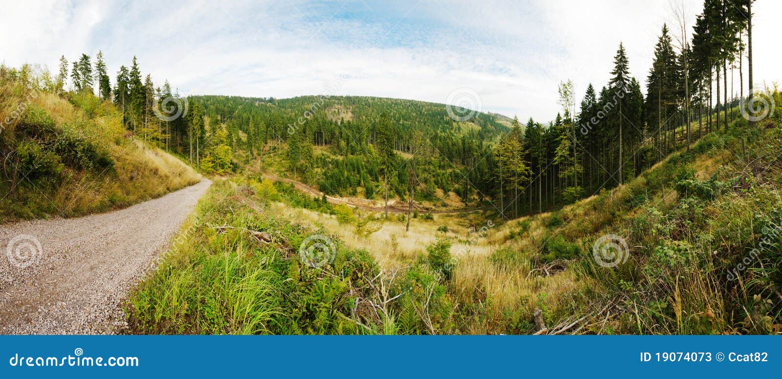 Forest panorama stock image. Image of meadow, fall, color - 19074073