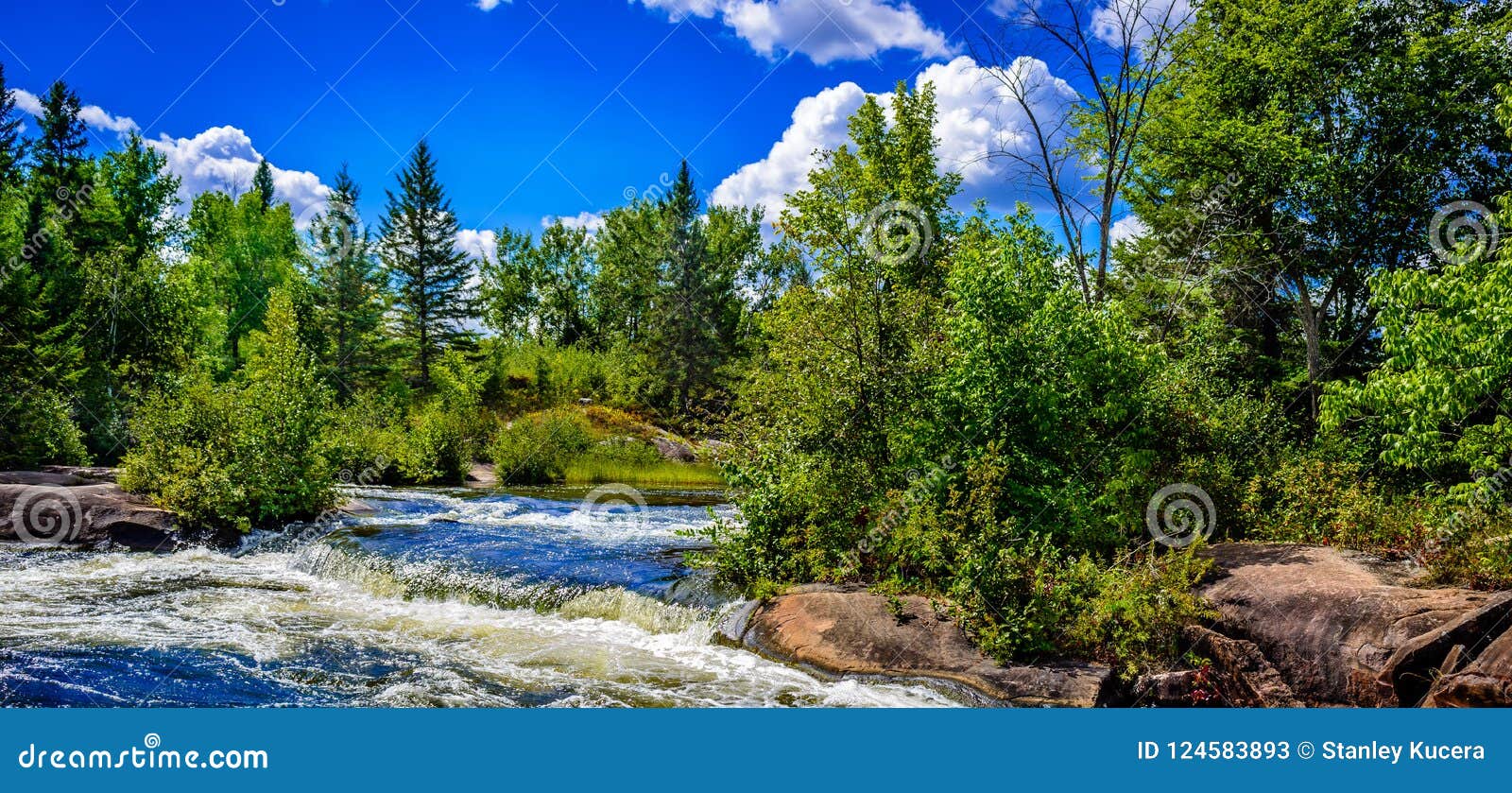 Solitude in the Wilderness Forest. Stock Image - Image of basin ...
