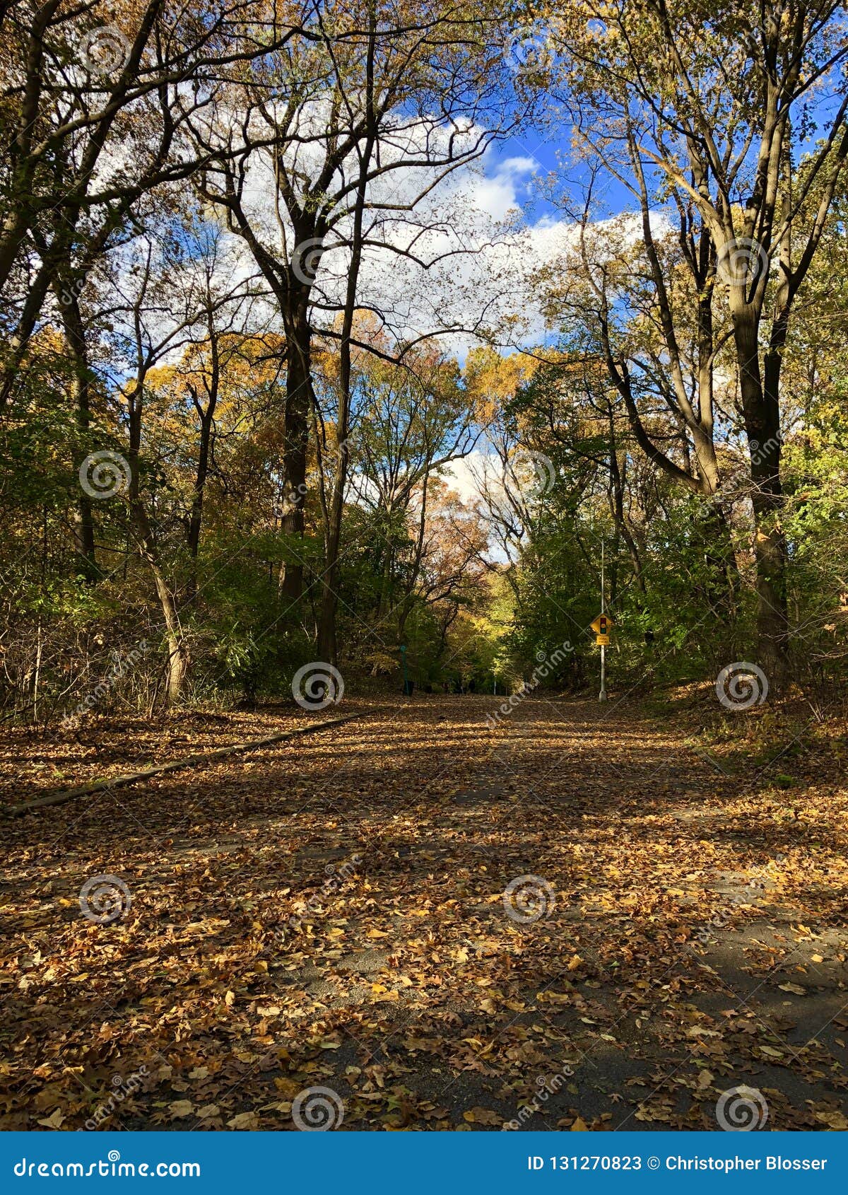 Autumn Walk stock image. Image of forest, autumn, walk - 131270823