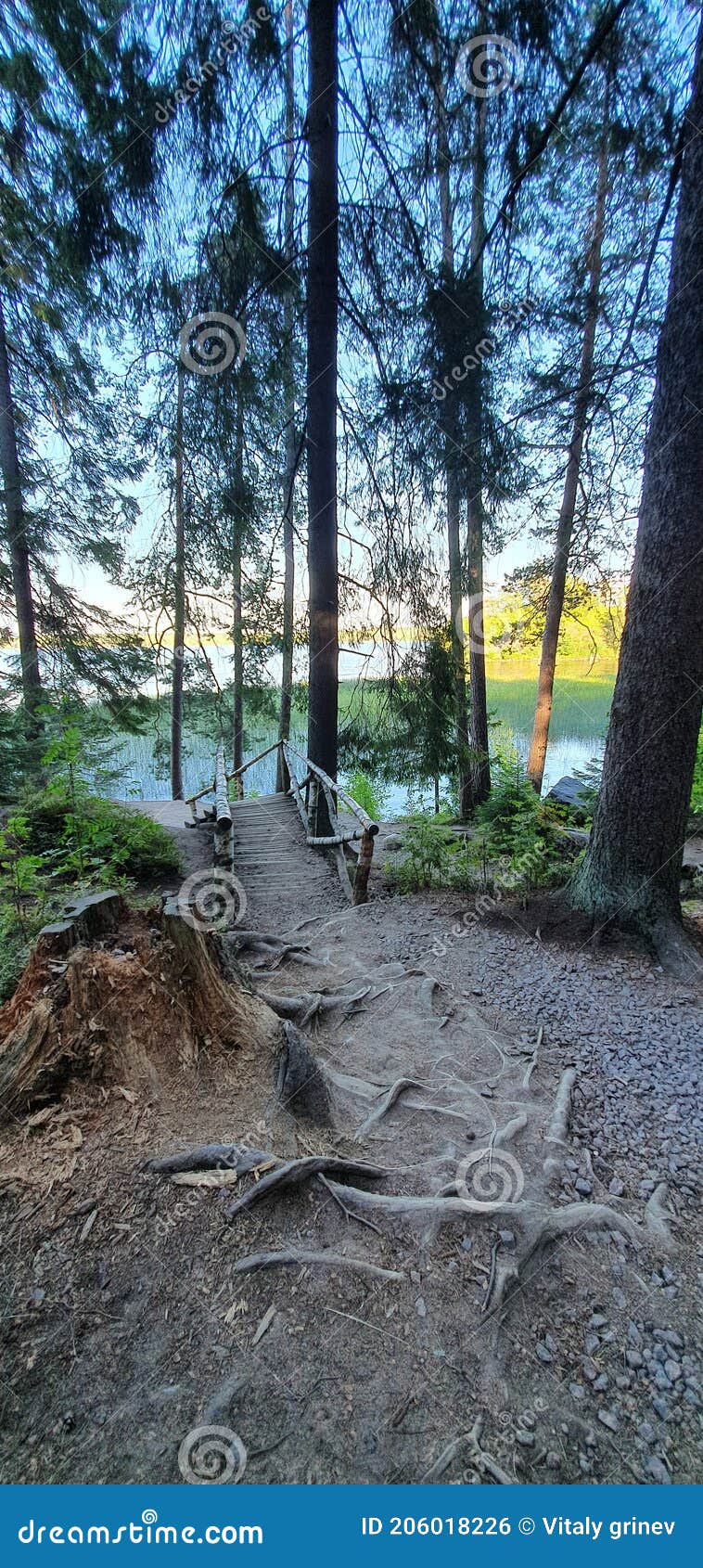 Forest Path of Ancient People Stock Photo - Image of ridge, rock: 206018226
