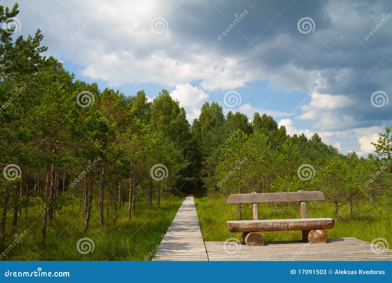 Forest path, a bench stock image. Image of outdoor, bush - 17091503