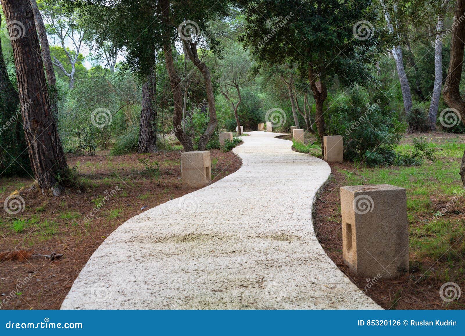 Forest path in cloudy stock photo. Image of curve, countryside - 85320126