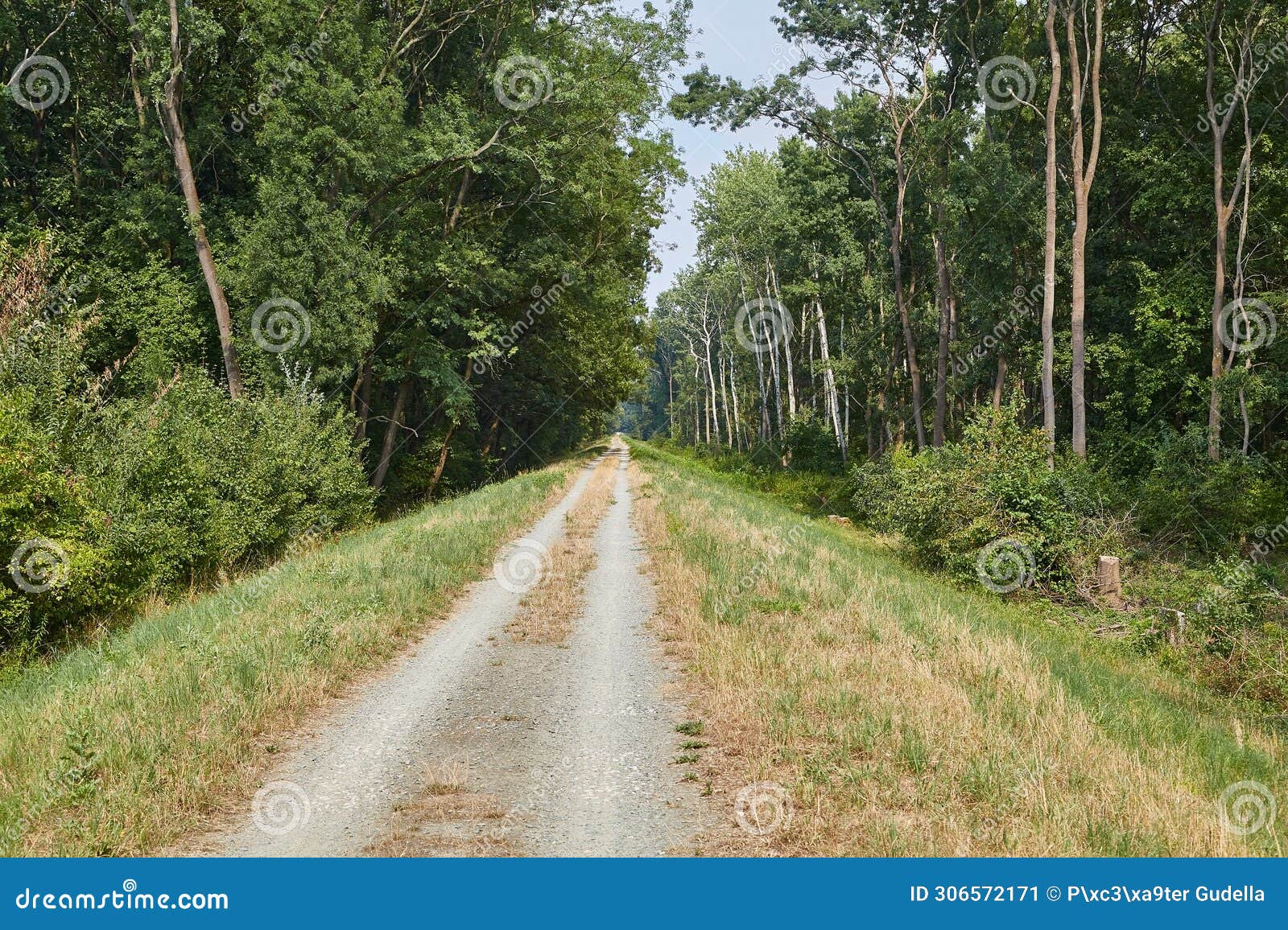 Forest walking route stock image. Image of rampart, path - 306572171
