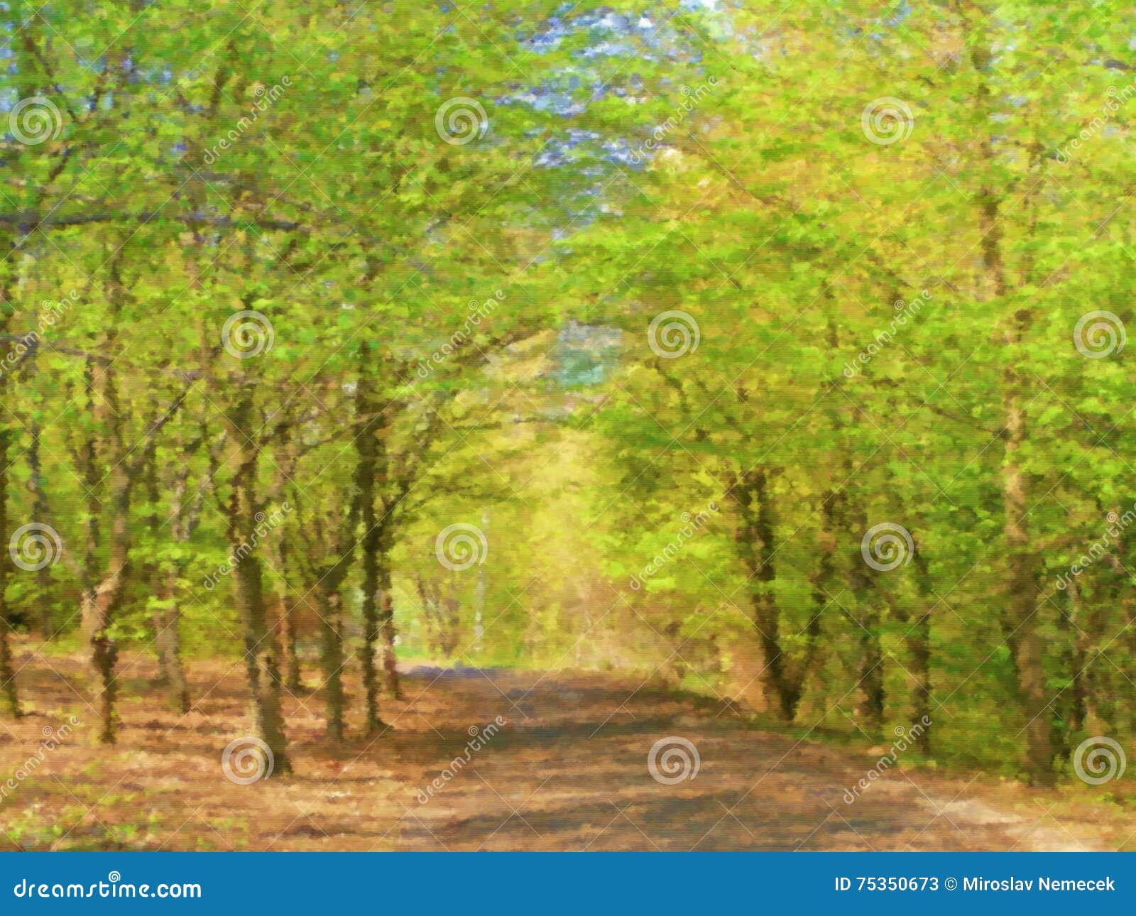 Forest Path, Exit From The Forest. Trees Silhouette Vector, On White ...