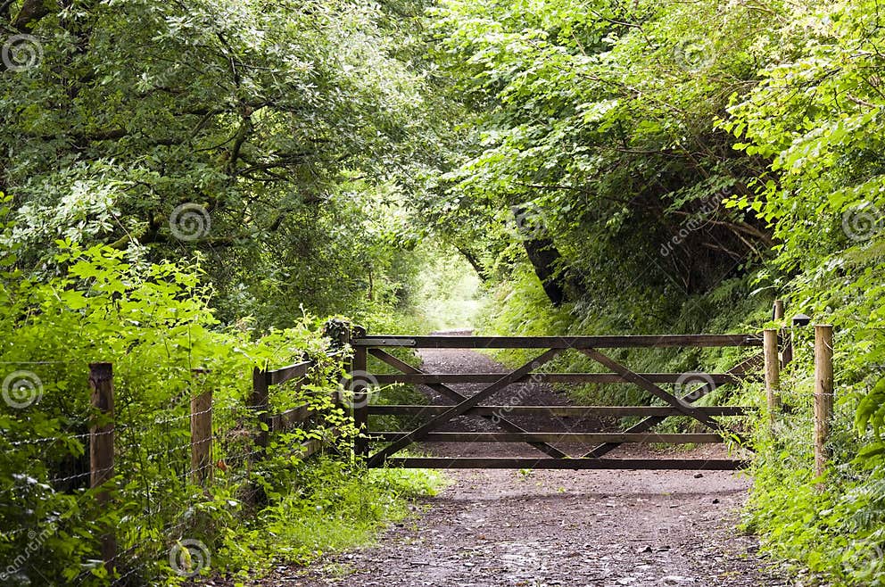 Forest path with gate stock image. Image of plant, branch - 16121245