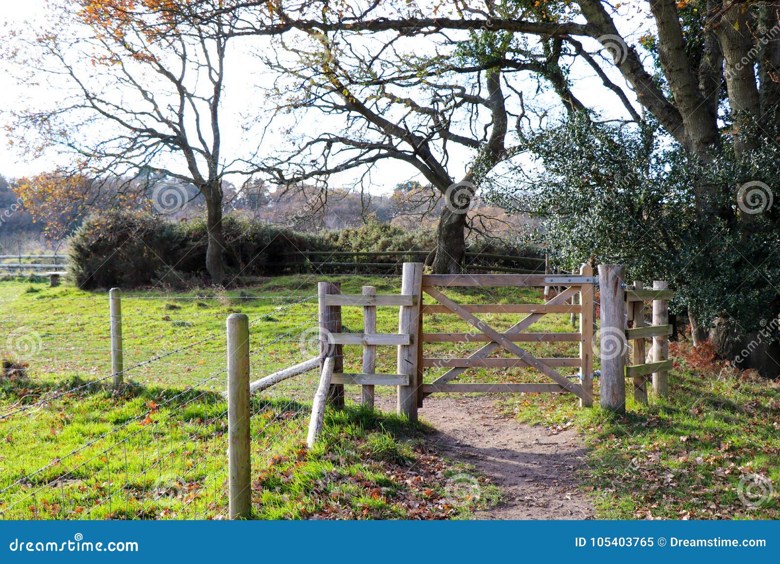 Forest Path Gate stock image. Image of yellow, path - 105403765