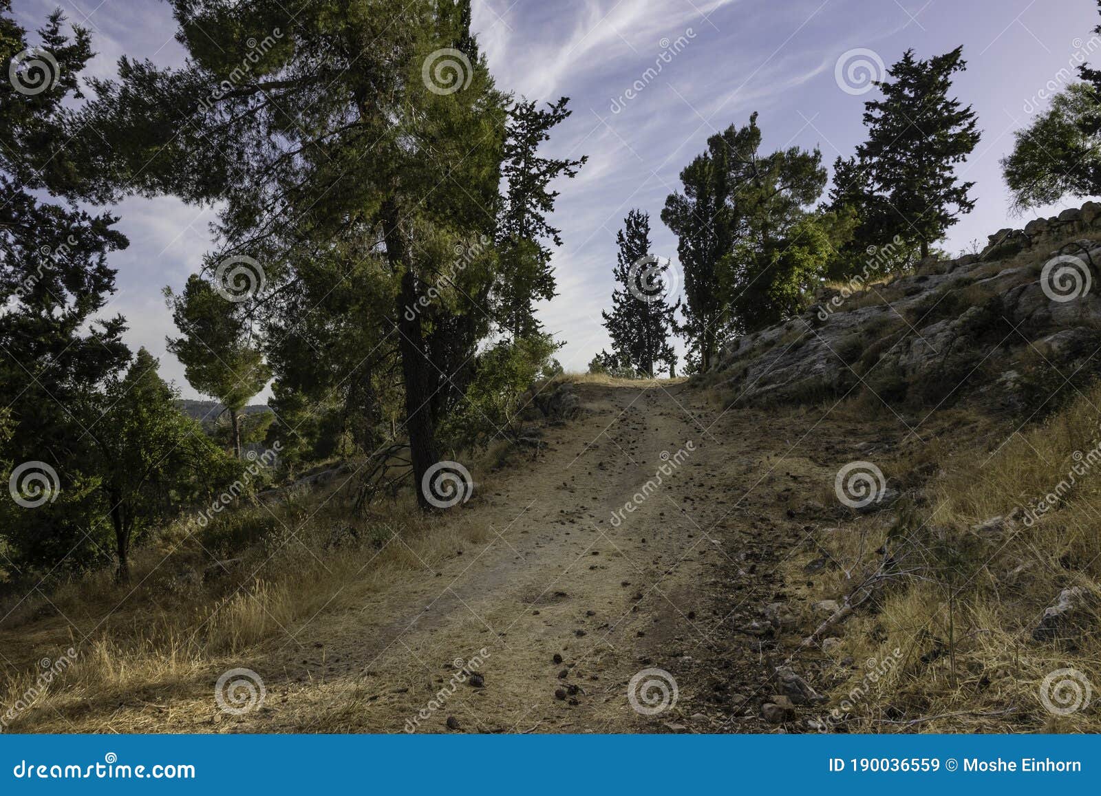 A Forest Path in the Judea Mountains Near Jerusalem, Israel Stock Image ...