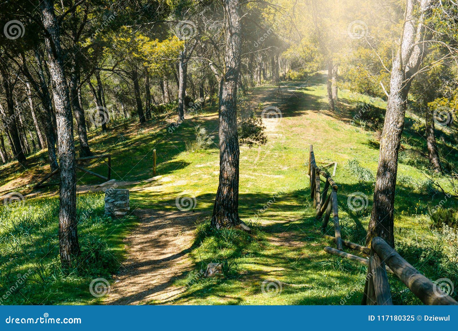 Forest Path Leading through the Green Forest Stock Image - Image of ... Forest Path Leading through the Green Forest Stock Image - Image of ...