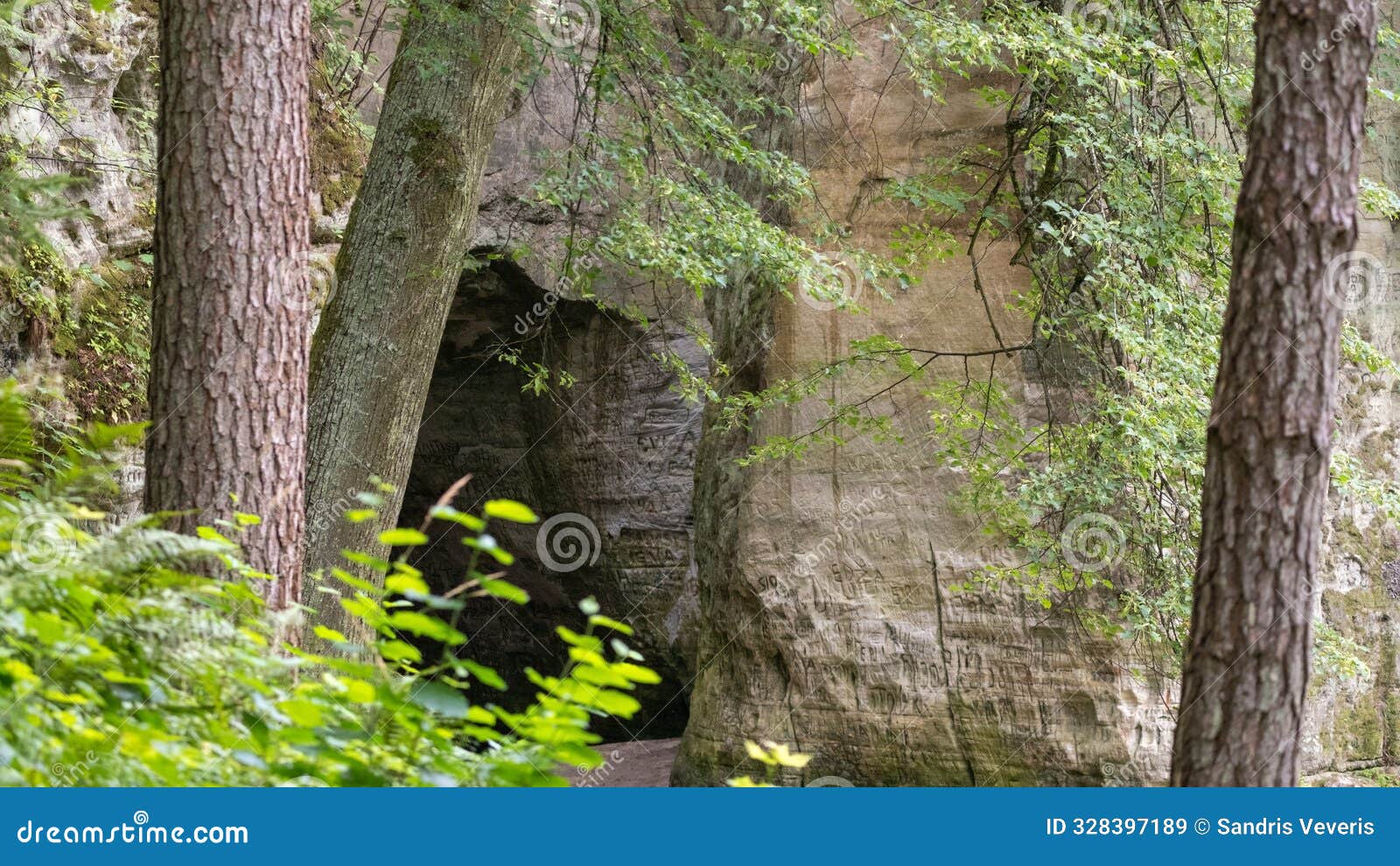 Forest Path Leading To Engraved Cliff Stock Image - Image of trees ...