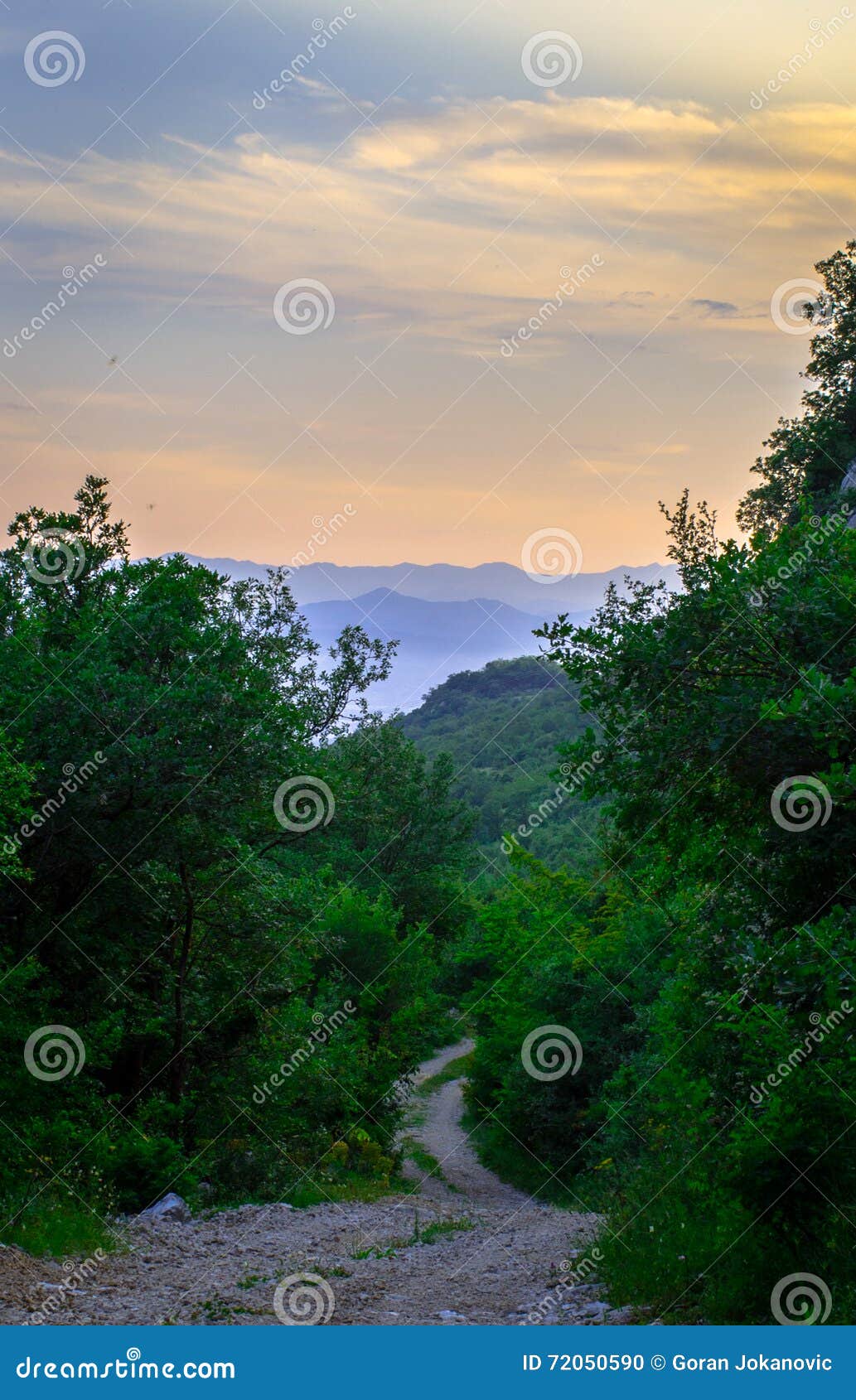 Forest path stock photo. Image of clouds, beautiful, stones - 72050590
