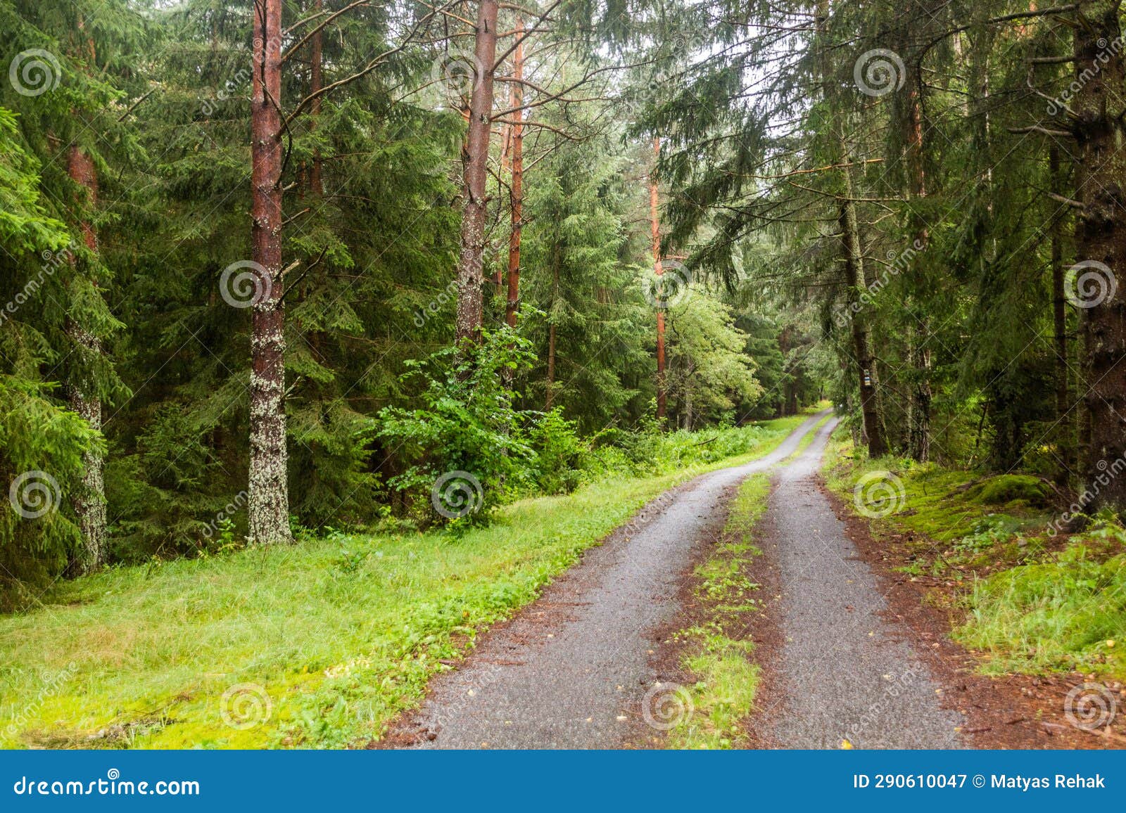 Forest Path Near the Southernmost Point of the Czech Republ Stock Image ...