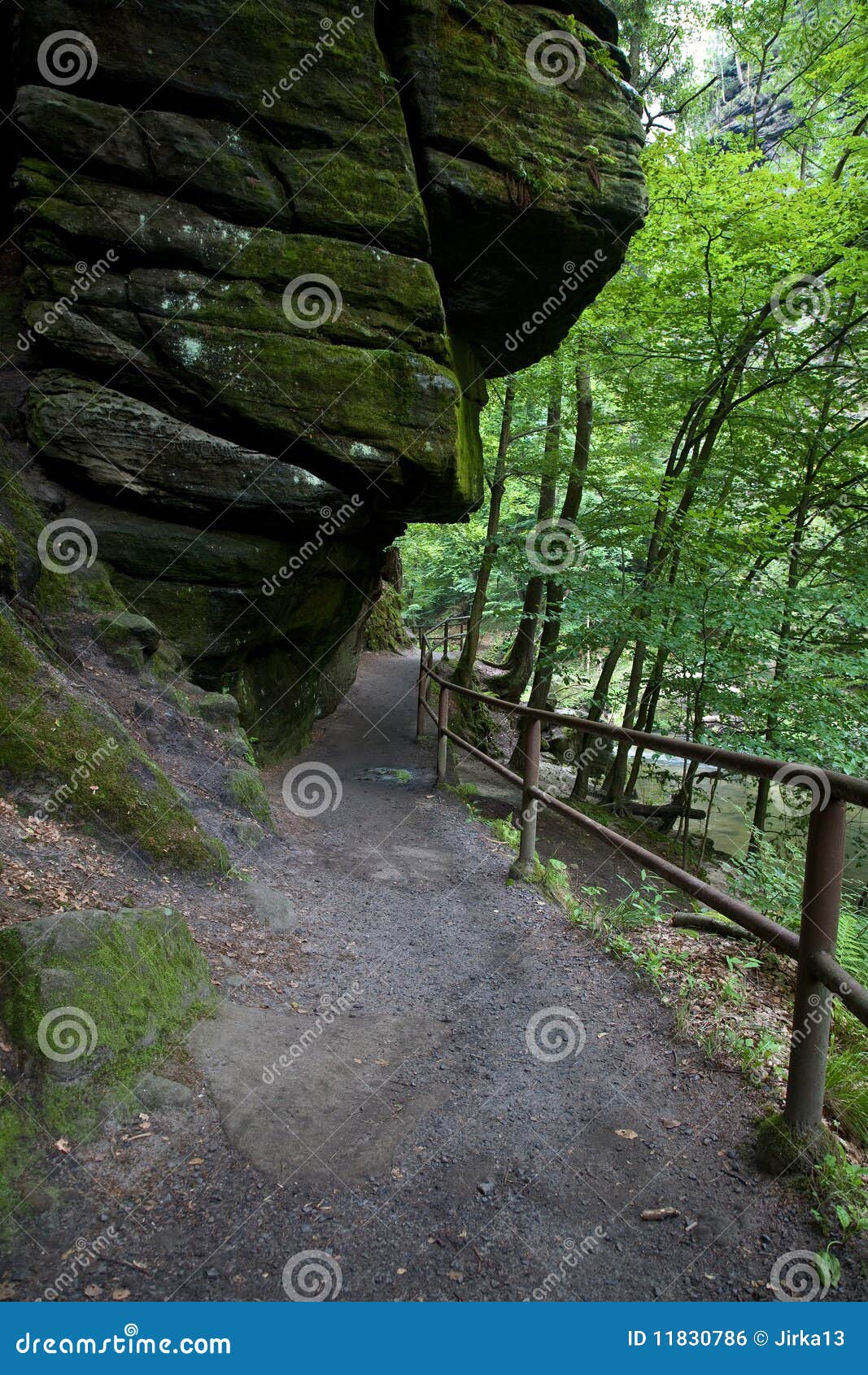 Forest path and rock stock photo. Image of nature, rock - 11830786
