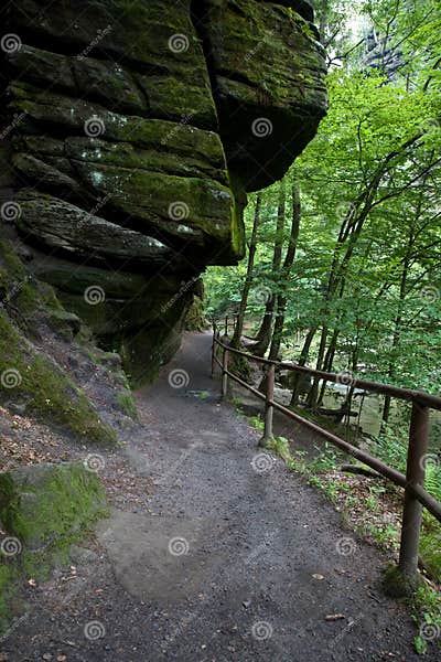 Forest path and rock stock photo. Image of nature, rock - 11830786