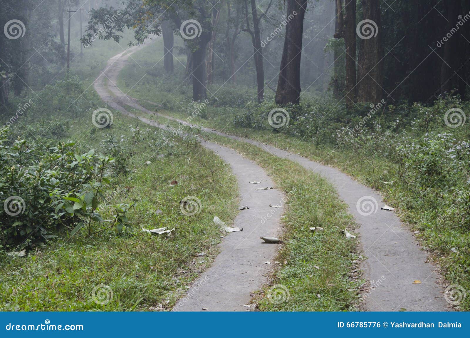 Path Running Down To Bannerdale From Beda Fell, Lake District Royalty ...