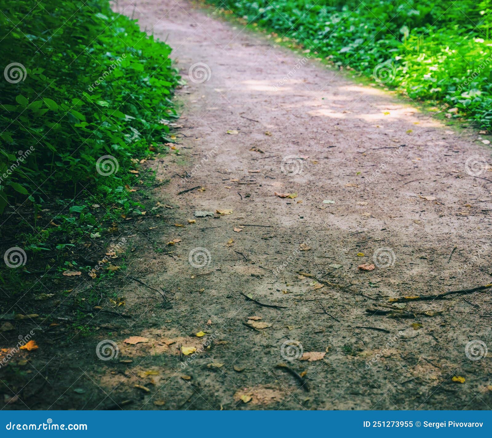 Forest Path Soil among Grass Close Up Toned Design Stock Image - Image ...