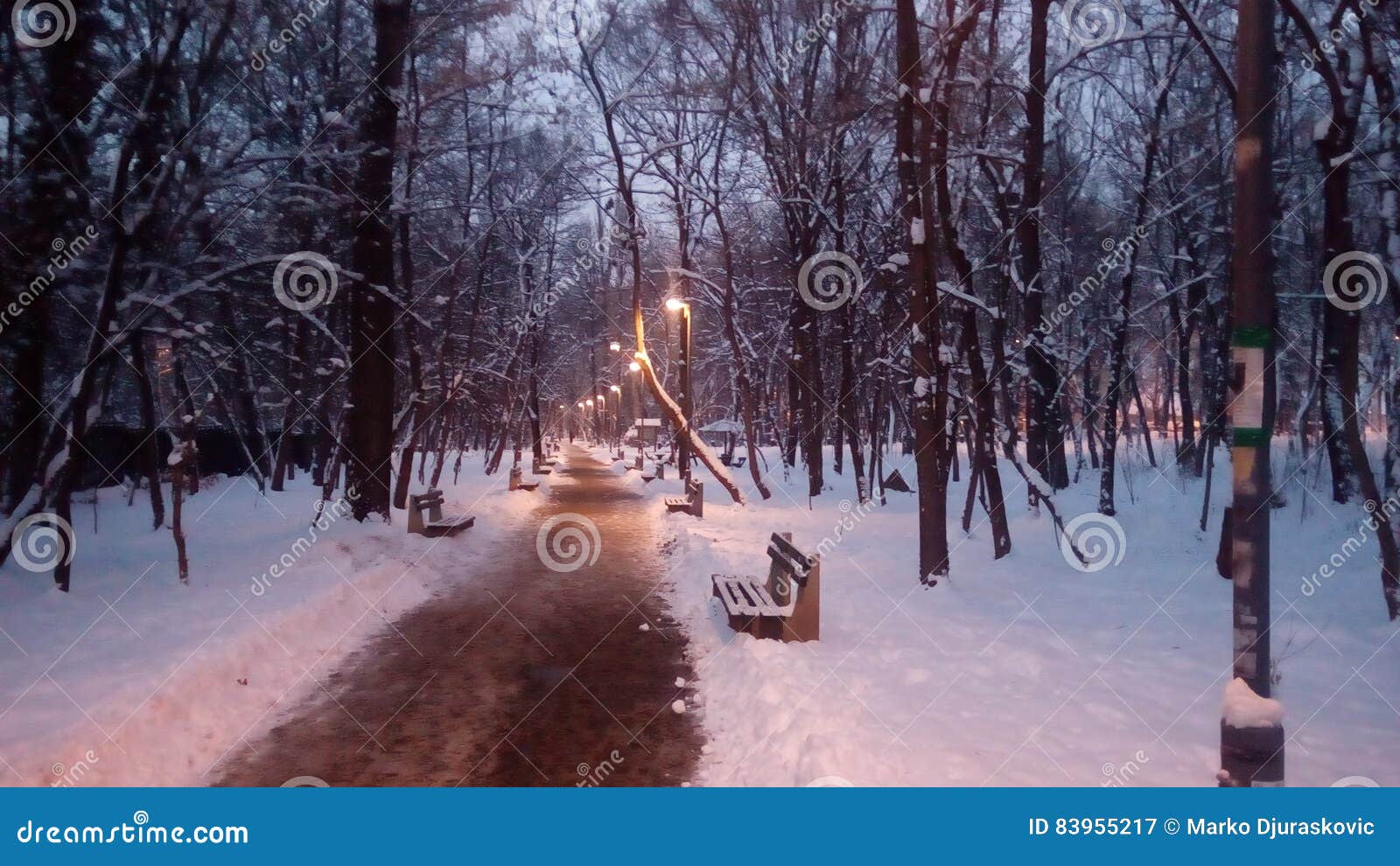 Forest path winter stock image. Image of terasom, zgrada - 83955217