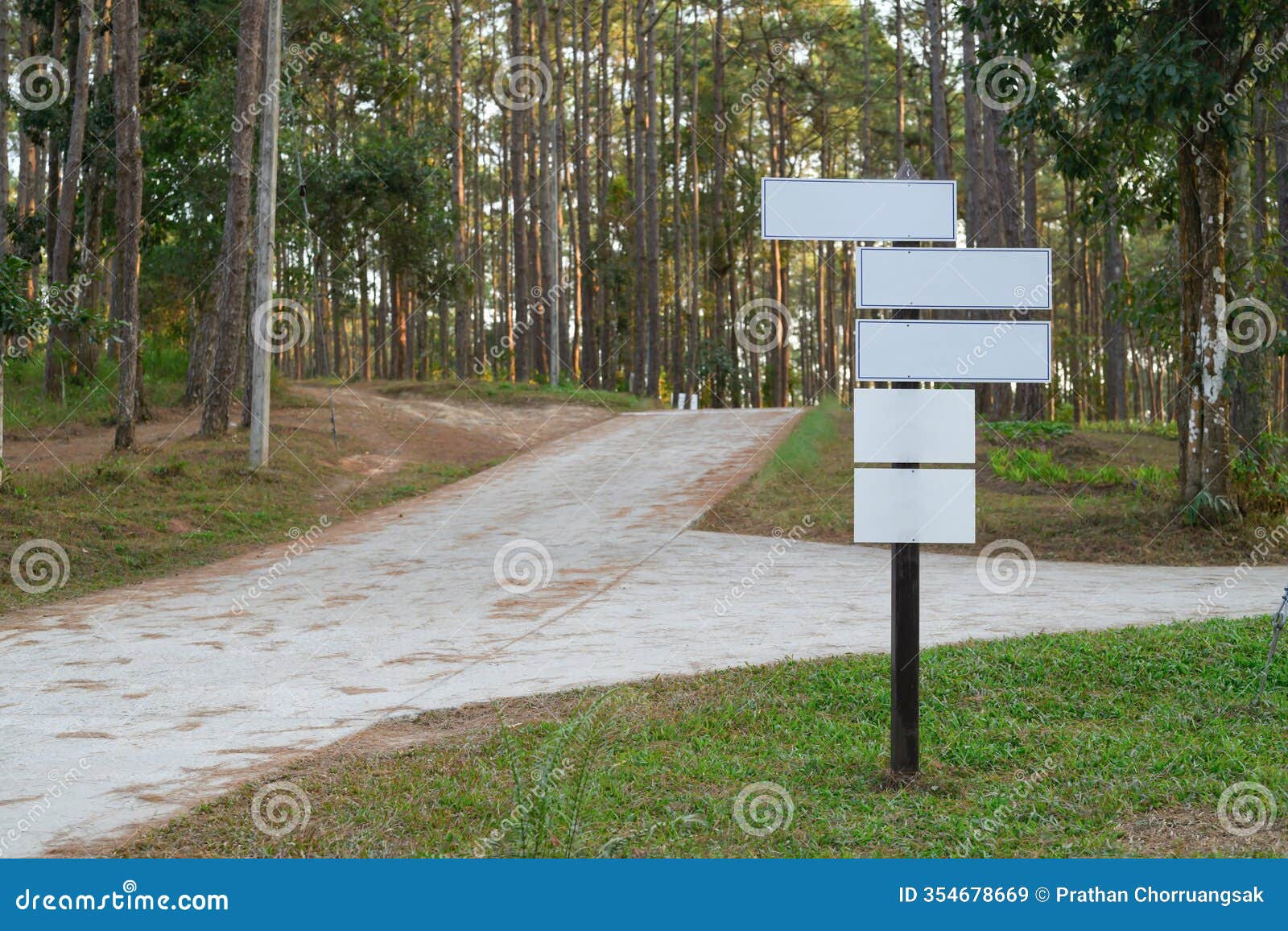 Forest Pathway with Blank Multi Directional Signpost. Travel, Adventure ...