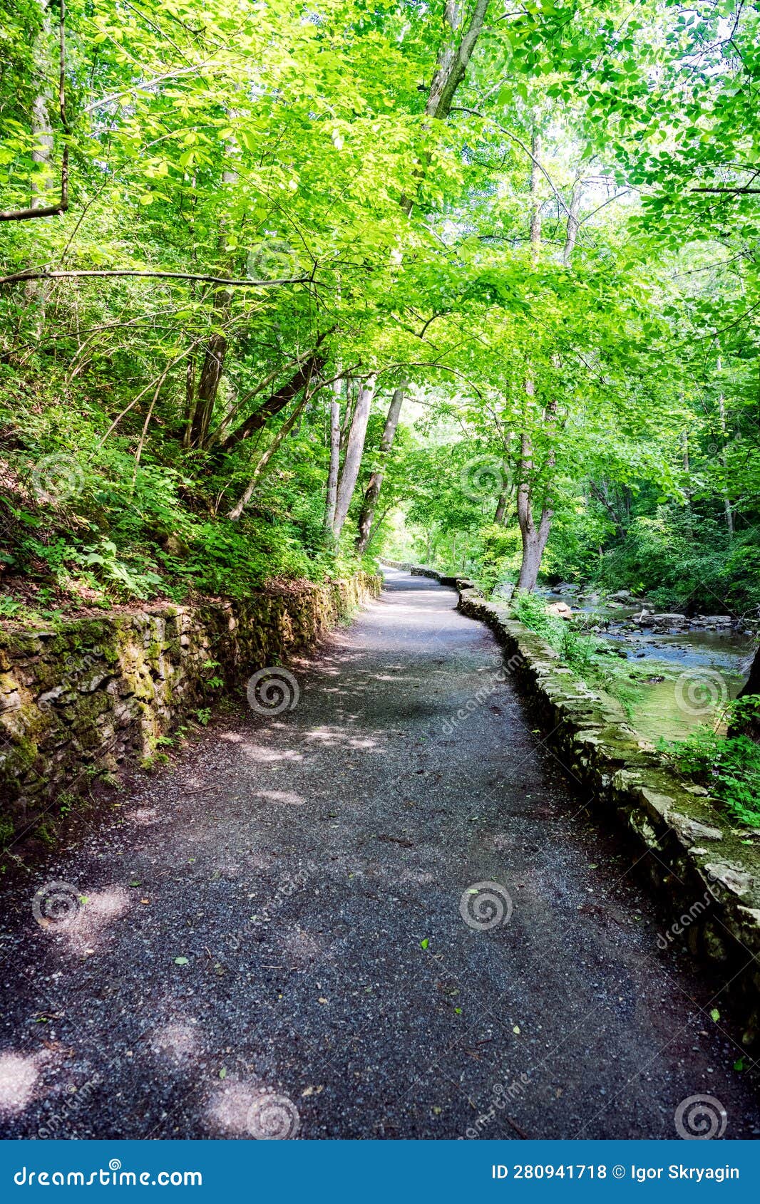 Forest Pathway. Forest Scape with Trees and Bushes among the Rocks ...
