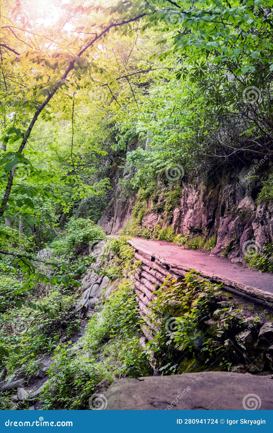 Forest Pathway. Forest Scape with Trees and Bushes among the Rocks ...