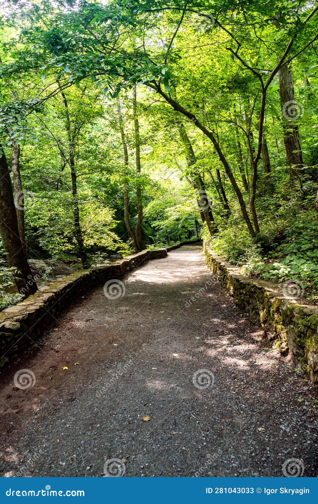 Forest Pathway. Forest Scape with Trees and Bushes among the Rocks ...