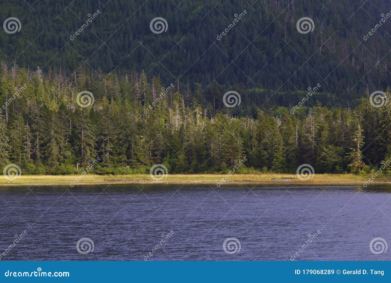 Forest Peril Strait 845454 stock image. Image of scenic - 179068289