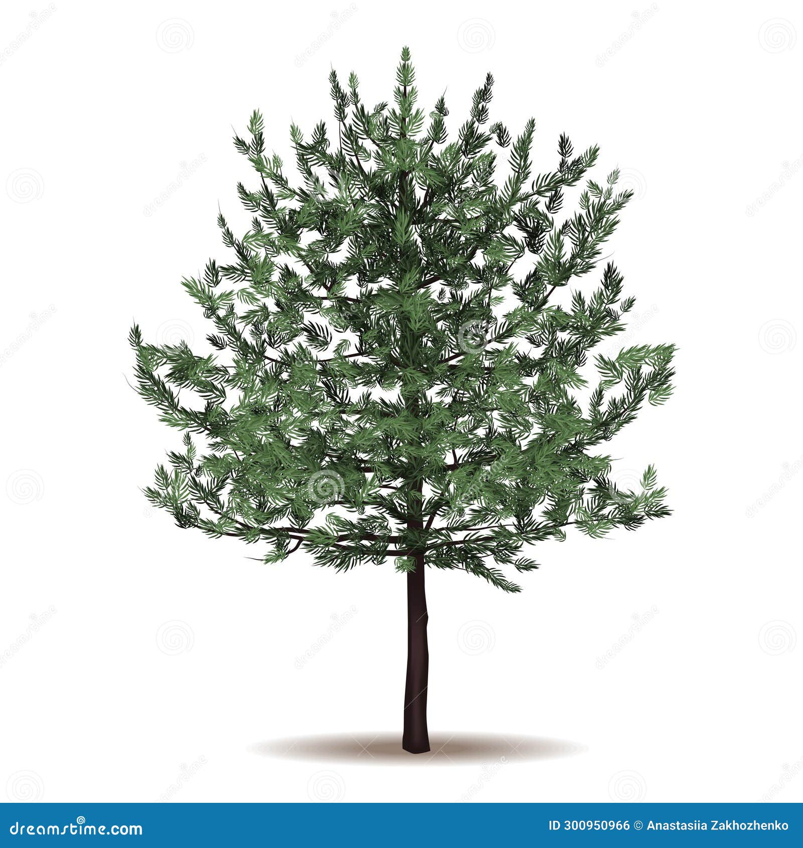 Forest Pine Tree, Realistic Vector. Stock Illustration - Illustration ...