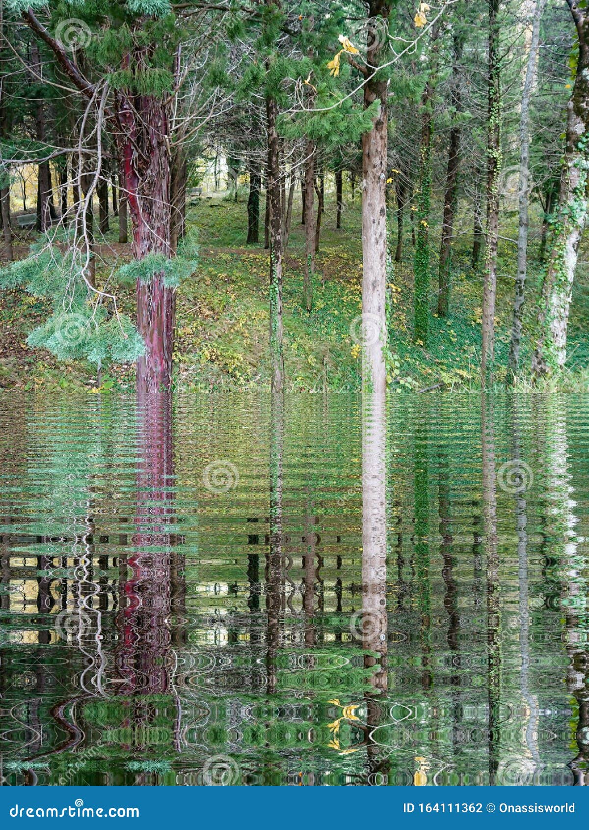 Forest Pine Trees Abstract Art Stock Photo - Image of abstract, pine ...