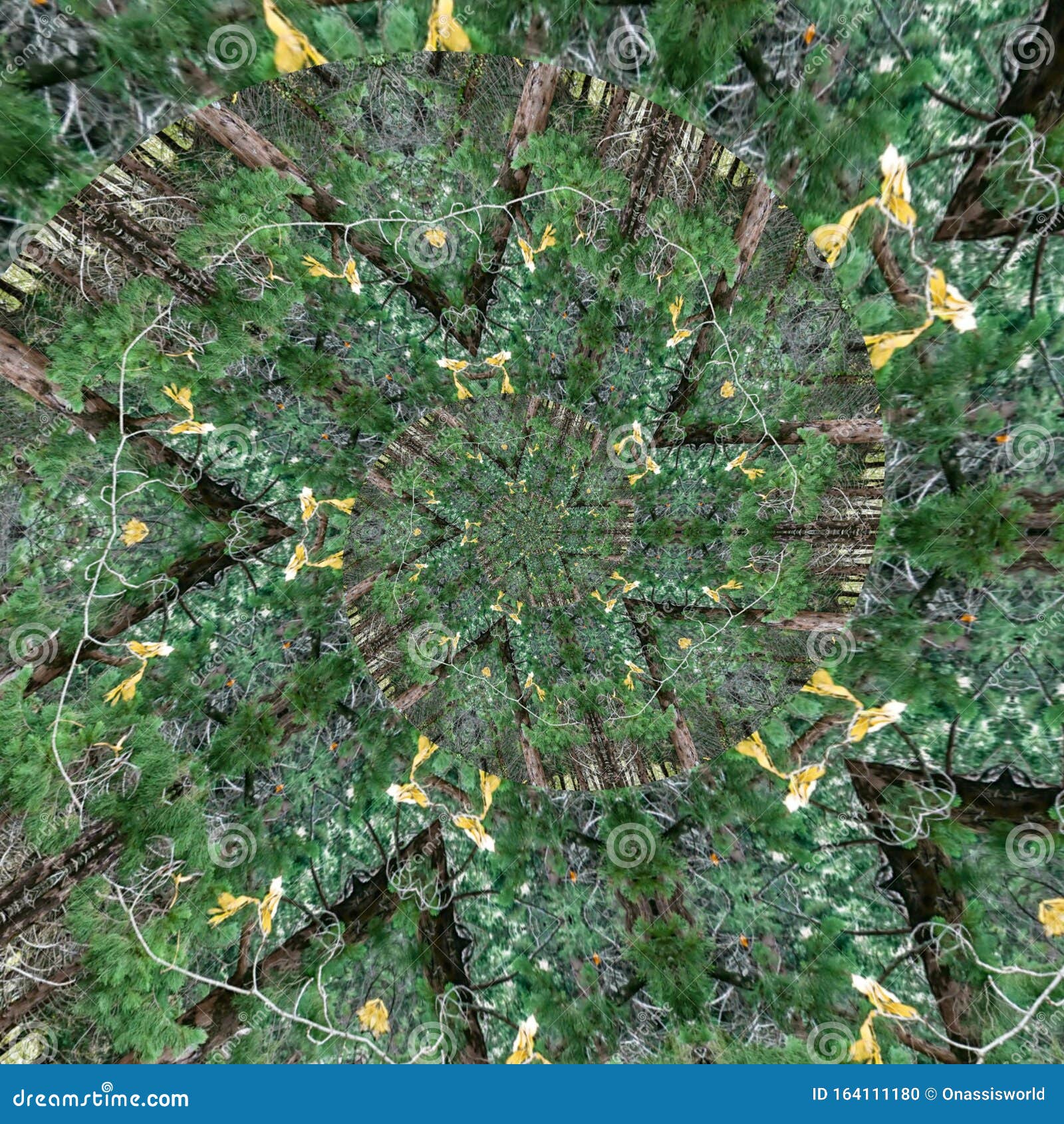 Forest Pine Trees Abstract Art Stock Photo - Image of trees, abstract ...