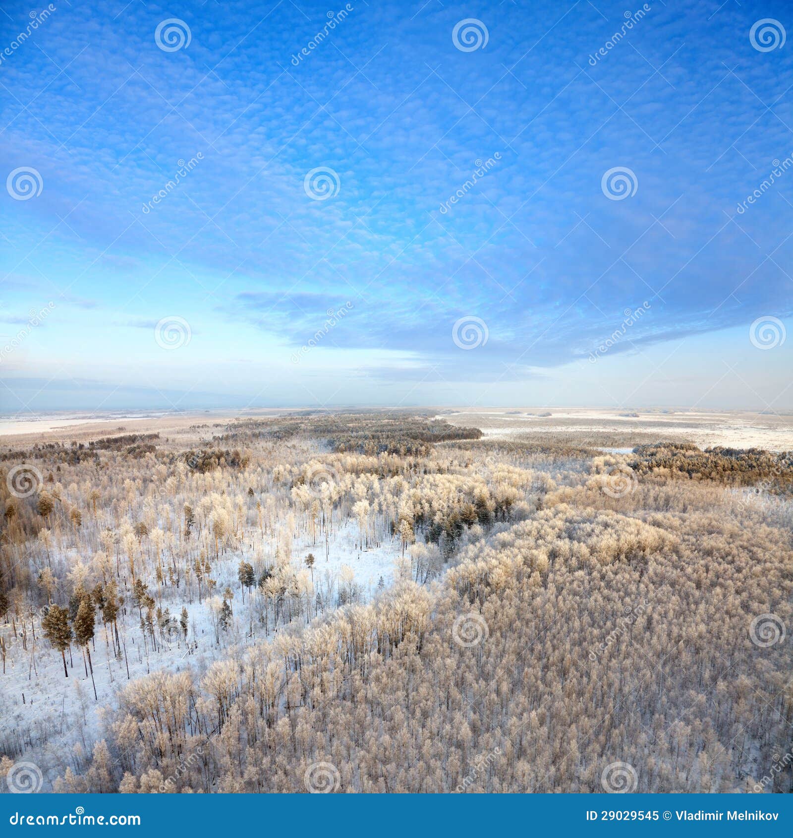 Forest plain stock image. Image of cool, beauty, horizon - 29029545