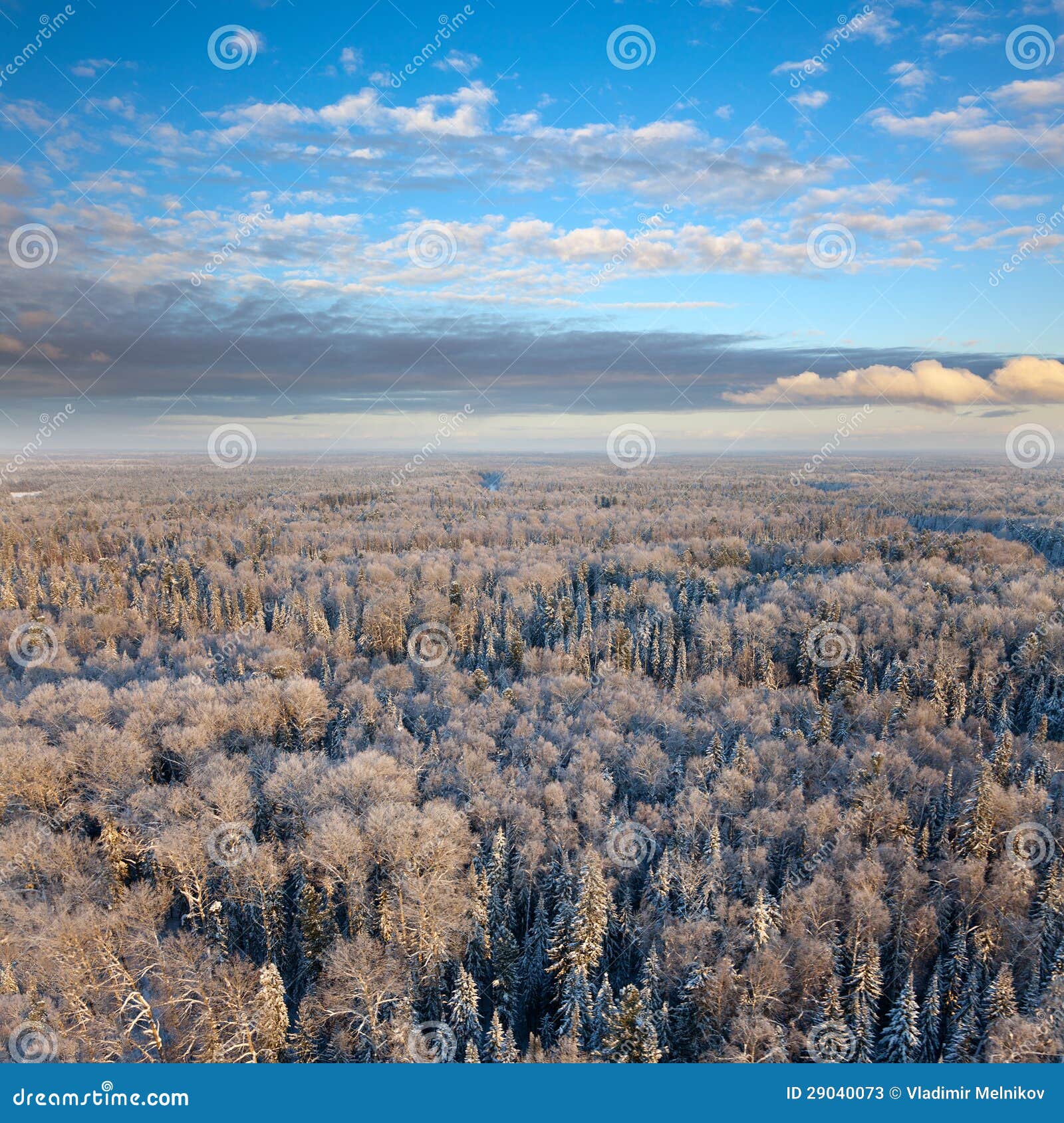 Forest plain stock image. Image of christmas, bright - 29040073