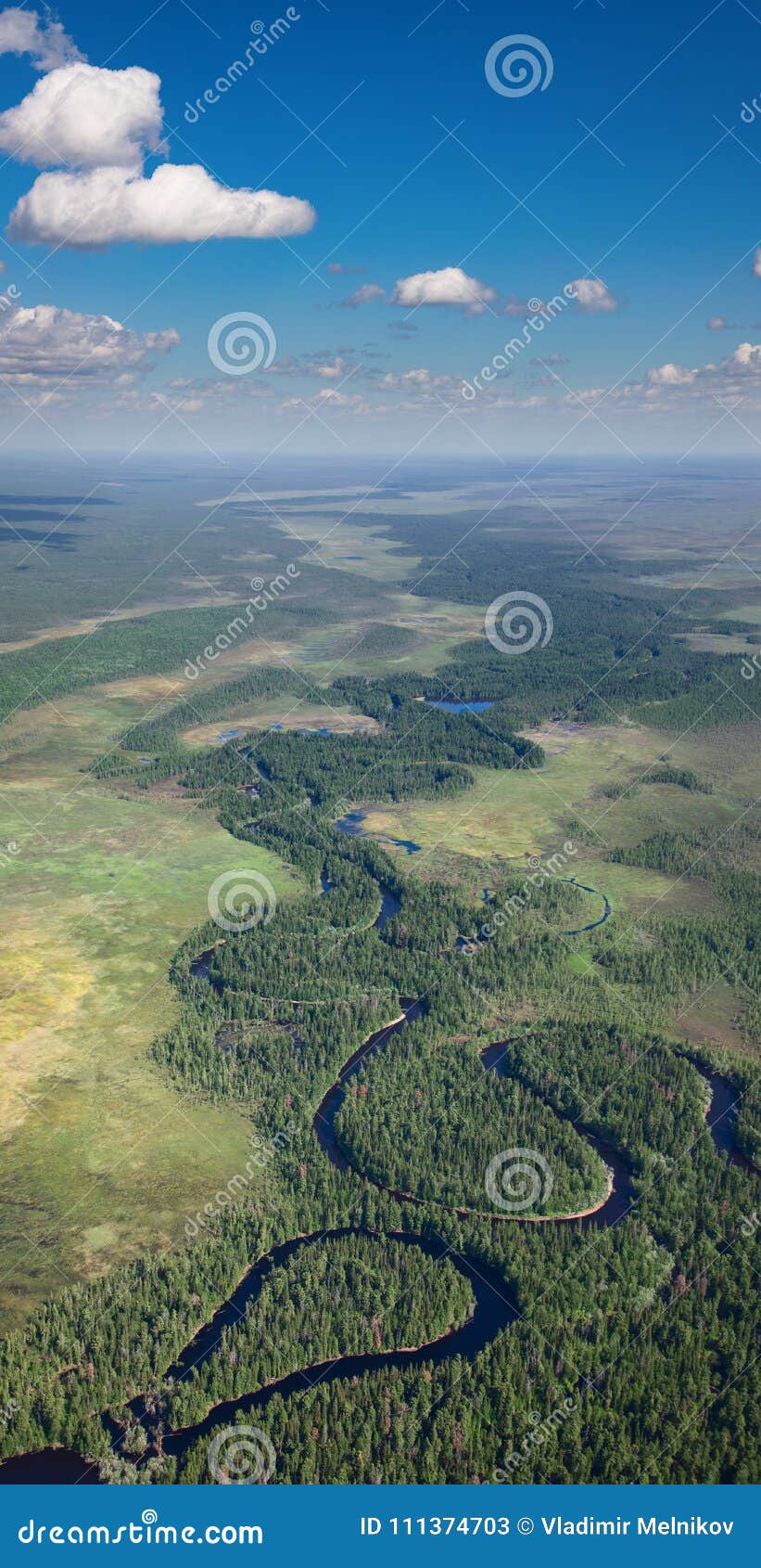 Forest plain with river stock image. Image of natural - 111374703