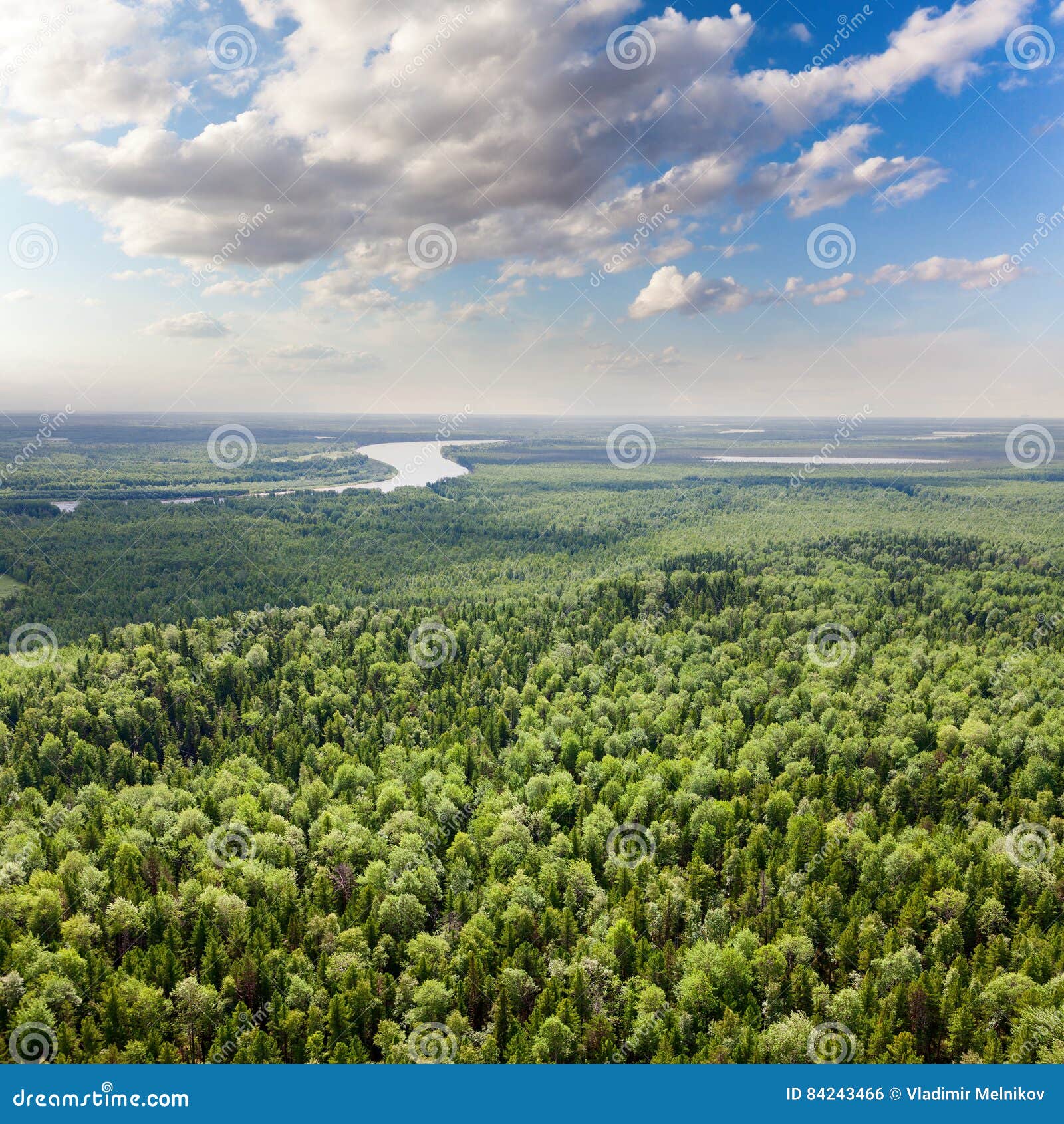 Forest plain with river stock photo. Image of green, serene - 84243466