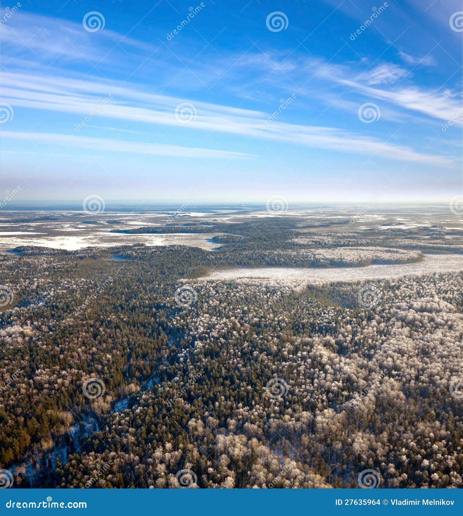Forest of plain in winter stock photo. Image of scene - 27635964