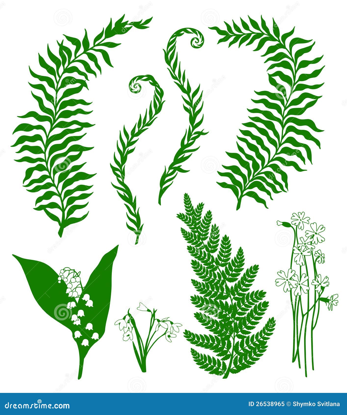 Set Of Forest Plants Vector Illustration | CartoonDealer.com #16292070