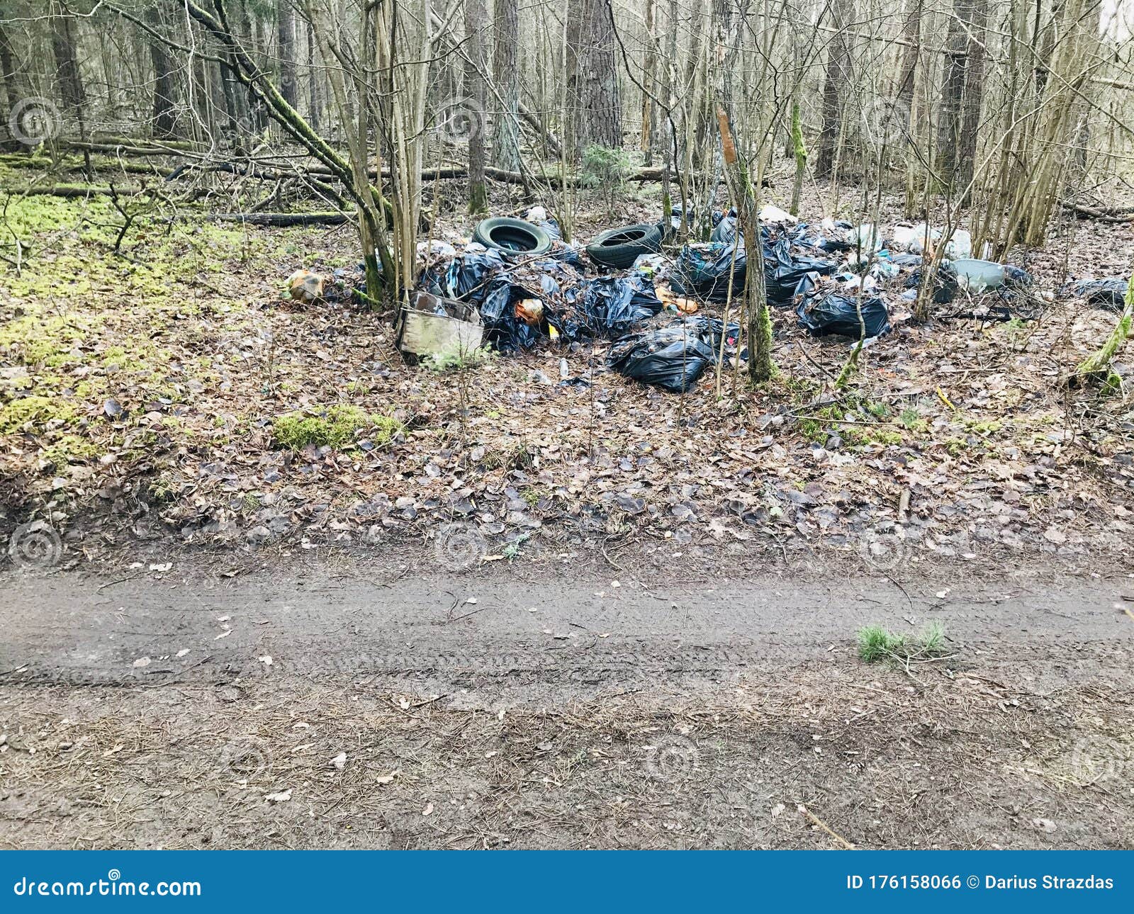 Forest Pollution Royalty-Free Stock Photo | CartoonDealer.com #78526311