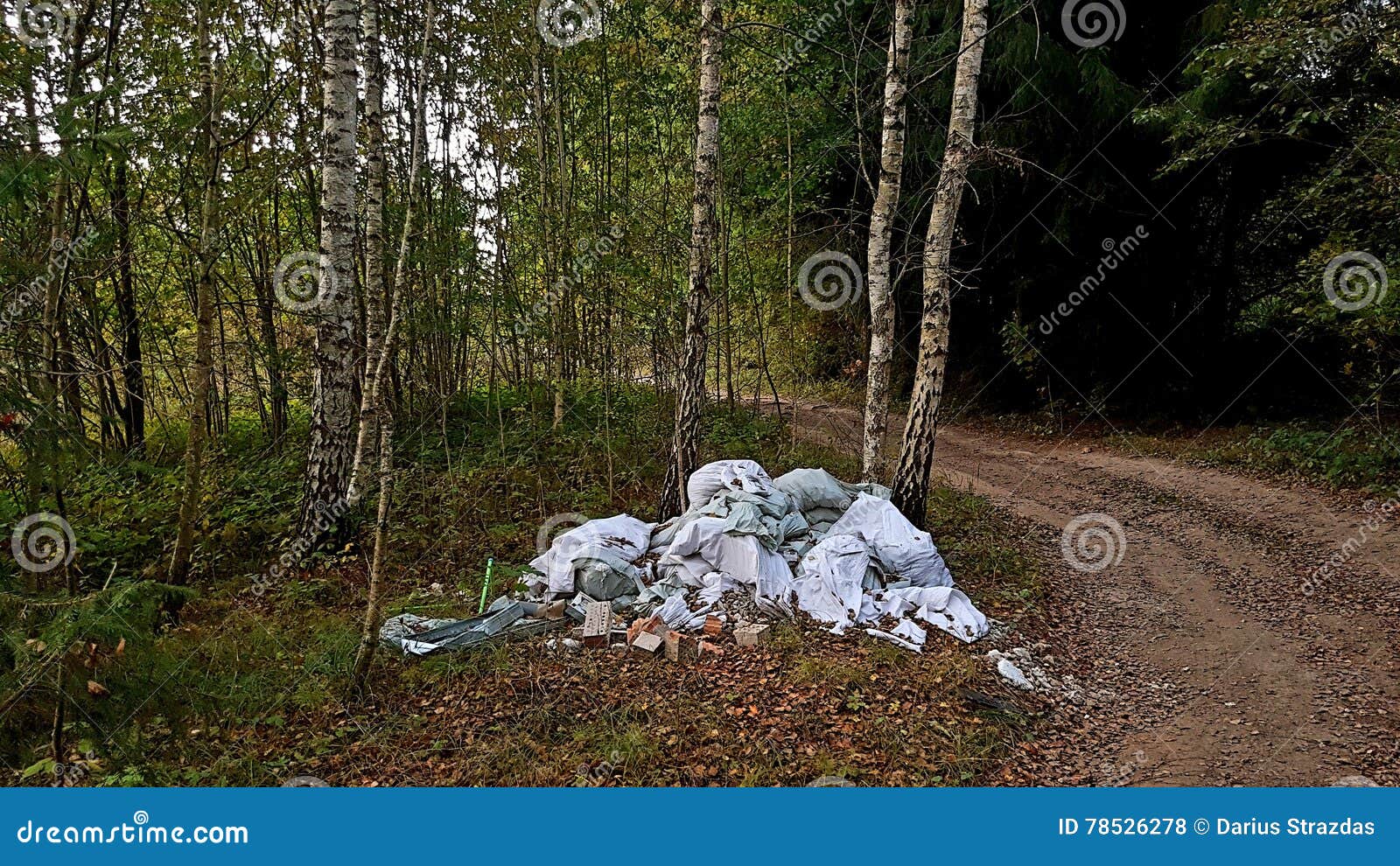 Forest pollution stock photo. Image of preservation, pollution - 78526278