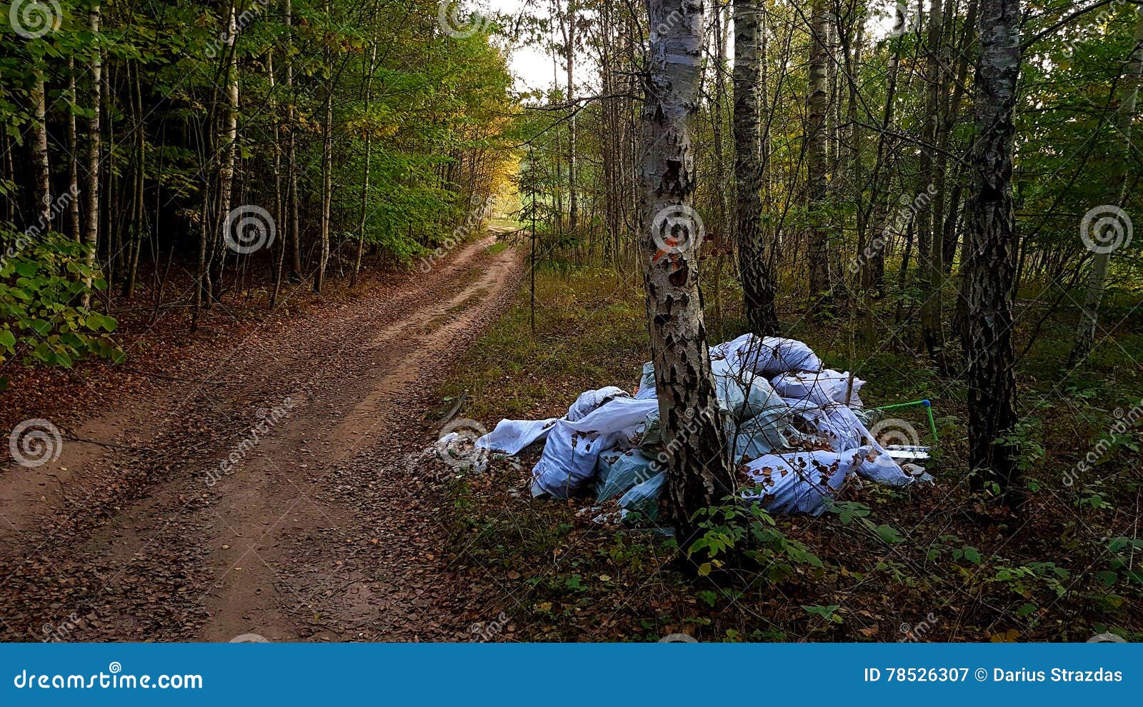 Forest Pollution Royalty-Free Stock Photography | CartoonDealer.com ...