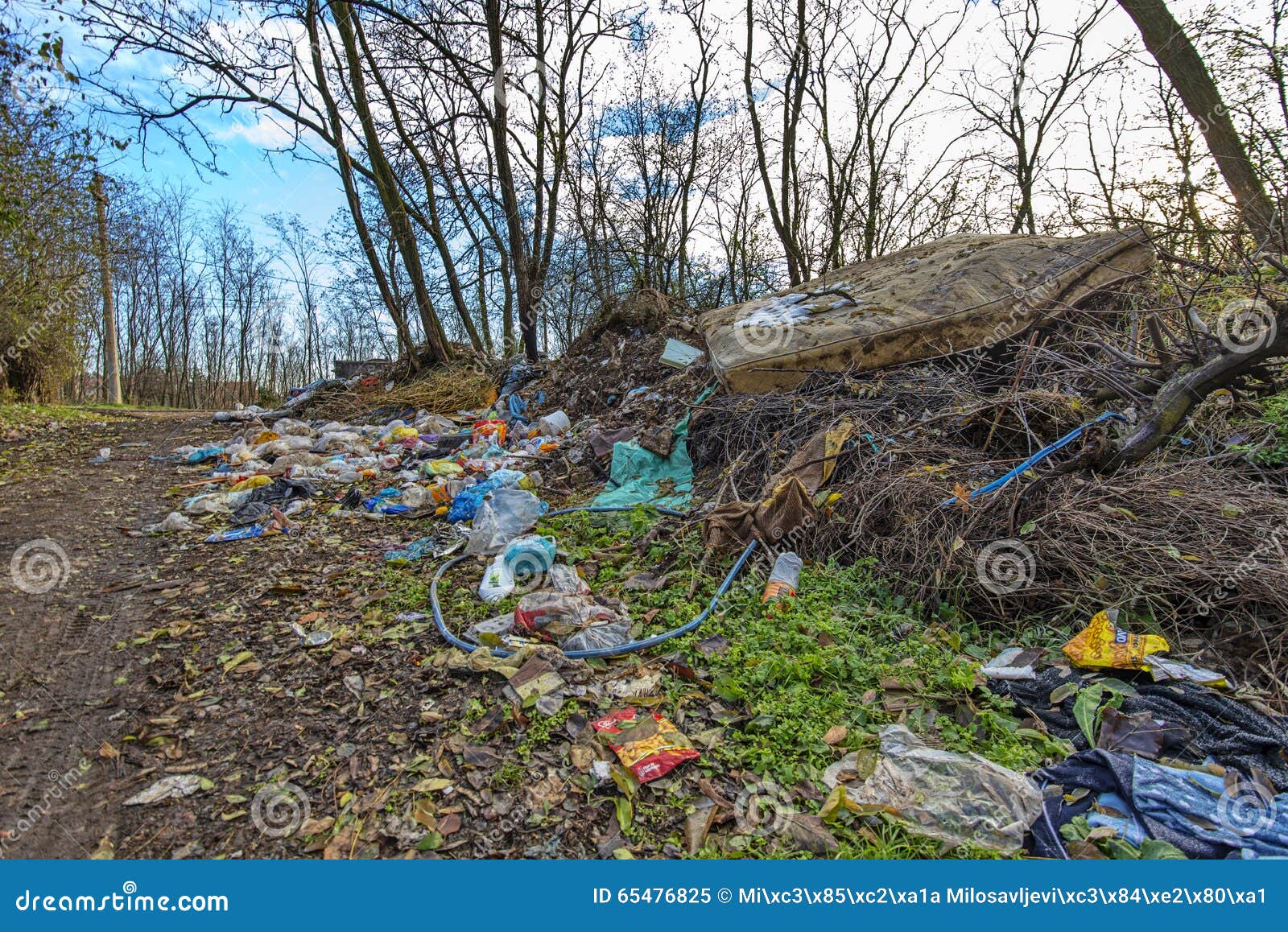 Forest pollution 3 stock image. Image of environment - 65476825