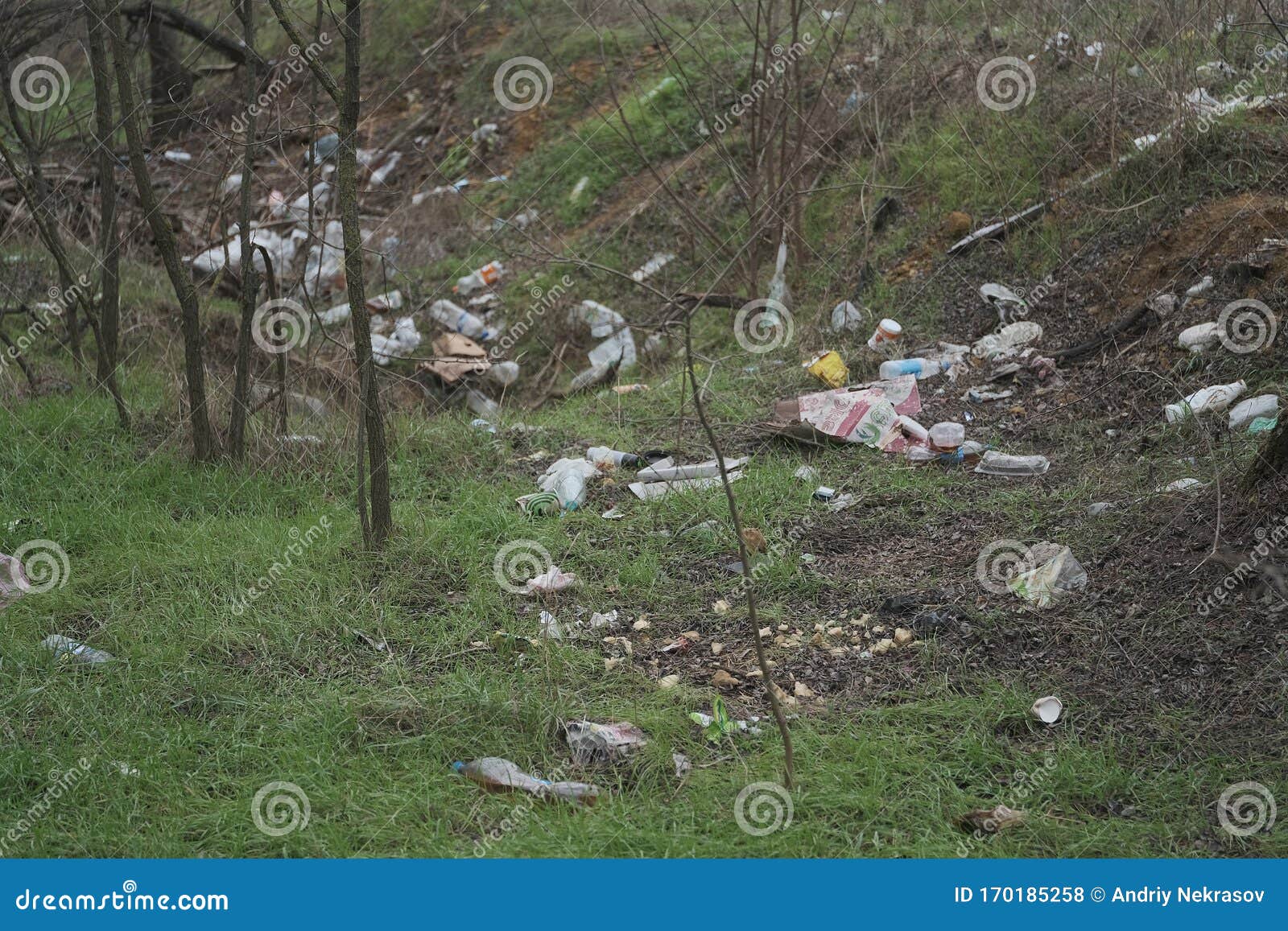 Forest Pollution, Plastic Garbage in the Pinewood. Dump Plastic Debris ...