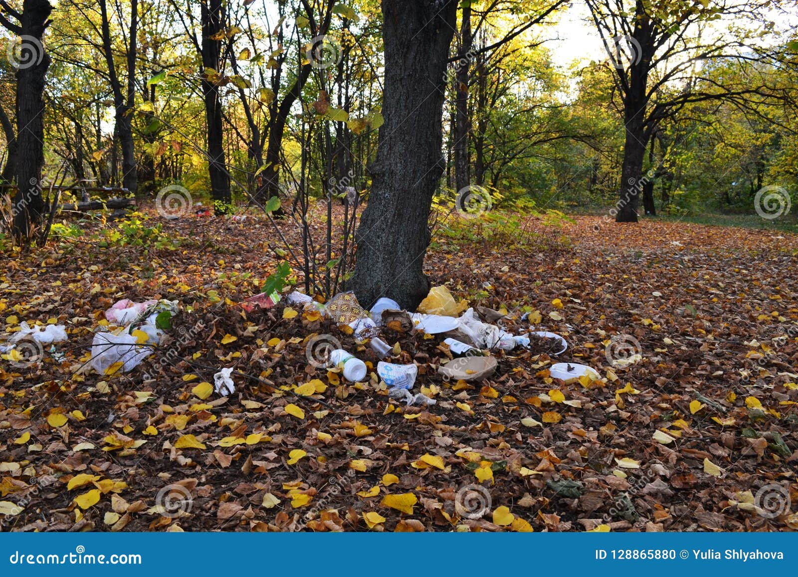 Forest Pollution with Plastic, Polyethylene and Metal Garbage ...