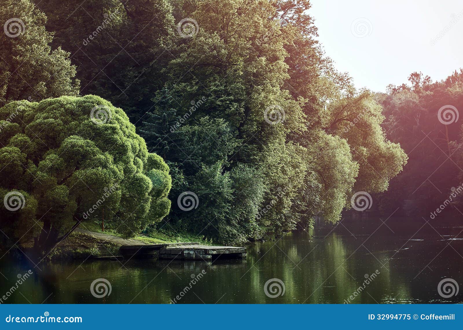 Forest at a pond stock image. Image of light, fantastic - 32994775
