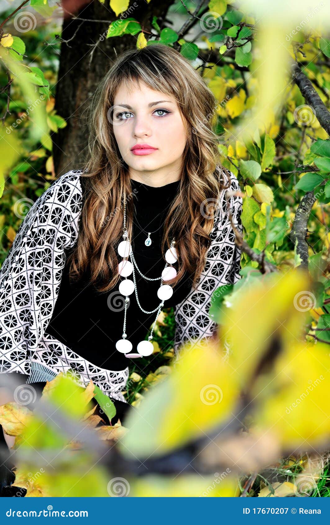 Forest portrait stock image. Image of cute, outdoors - 17670207